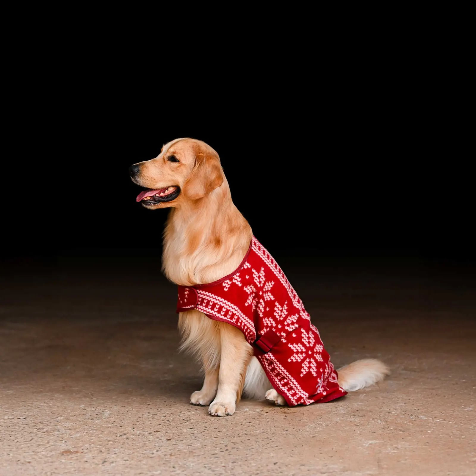 Horze Santa Dog Fleece Coat - Red - Horze-50UACD4-RE - Tack Of The Day