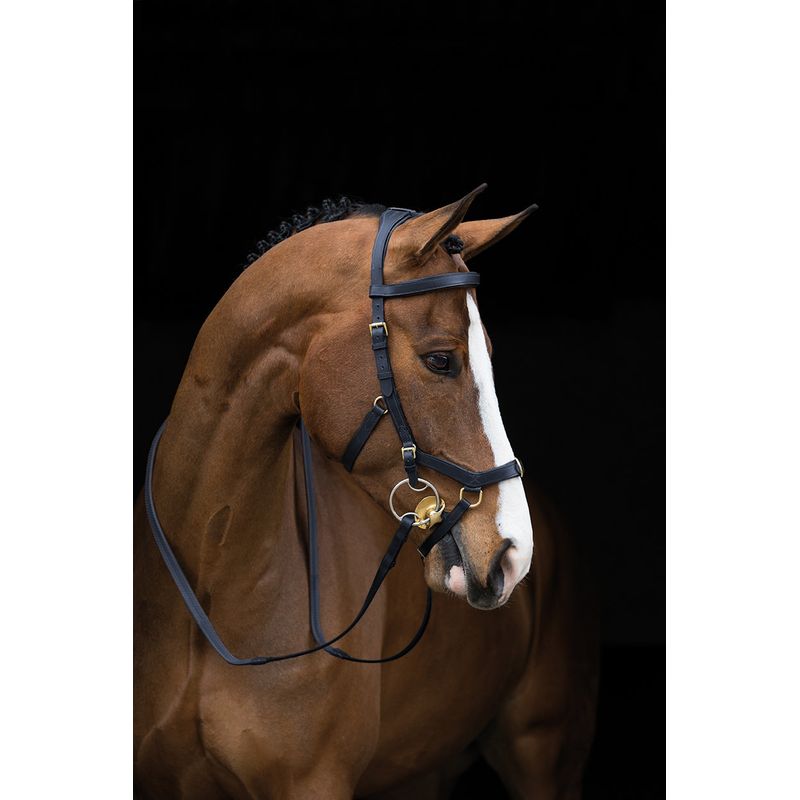 Rambo Micklem Original MultiBridle - Black - Rambo-SBAB51-K000 - Tack ...