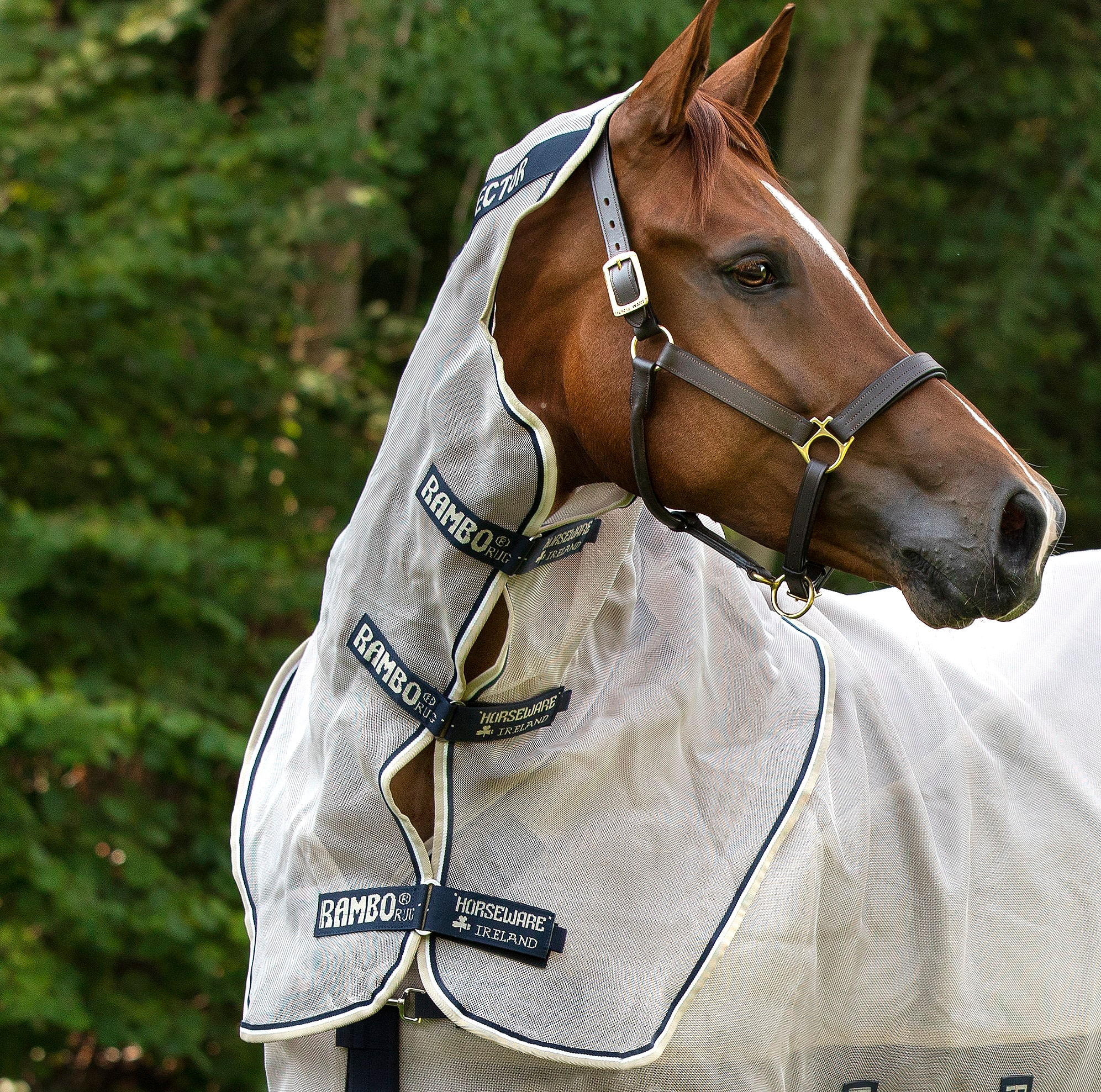 Rambo Protector Neck Cover - Oatmeal/Navy/White/Beige - Rambo-AFAPWN ...