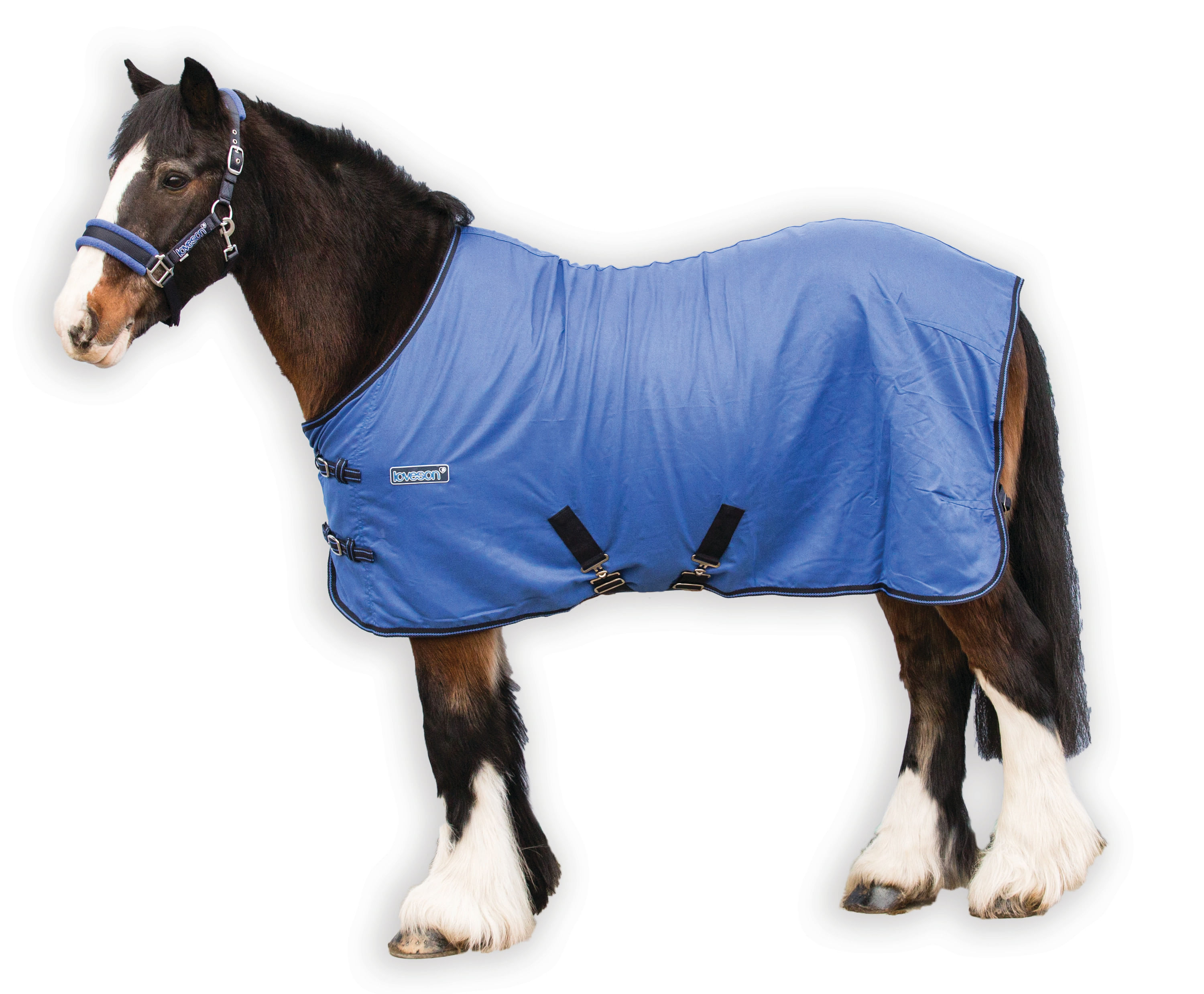 Loveson Summer Sheet - Blue/Navy/Blue - Loveson-ADLN70-CBC0 - Tack Of ...