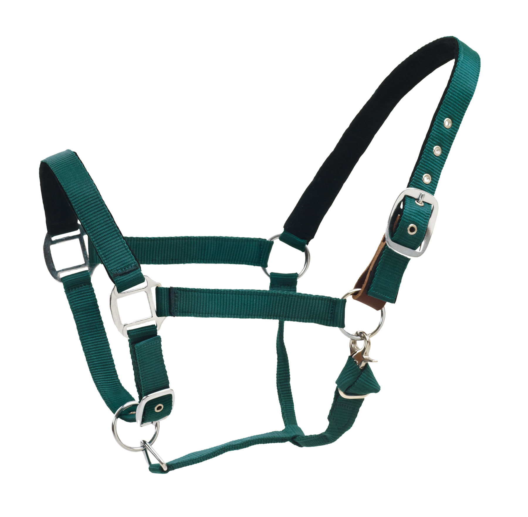 Centaur Cushion Web Breakaway Halter - Hunter Green - Centaur-468769 ...