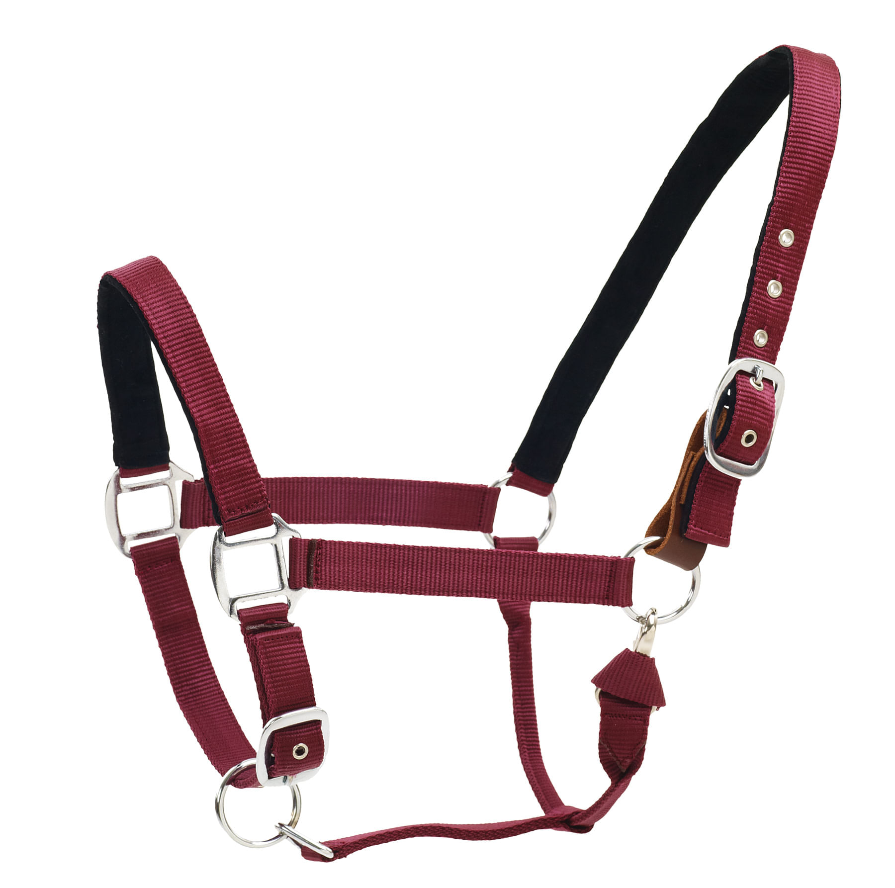 Centaur Cushion Web Breakaway Halter - Burgundy - Centaur-468769 ...