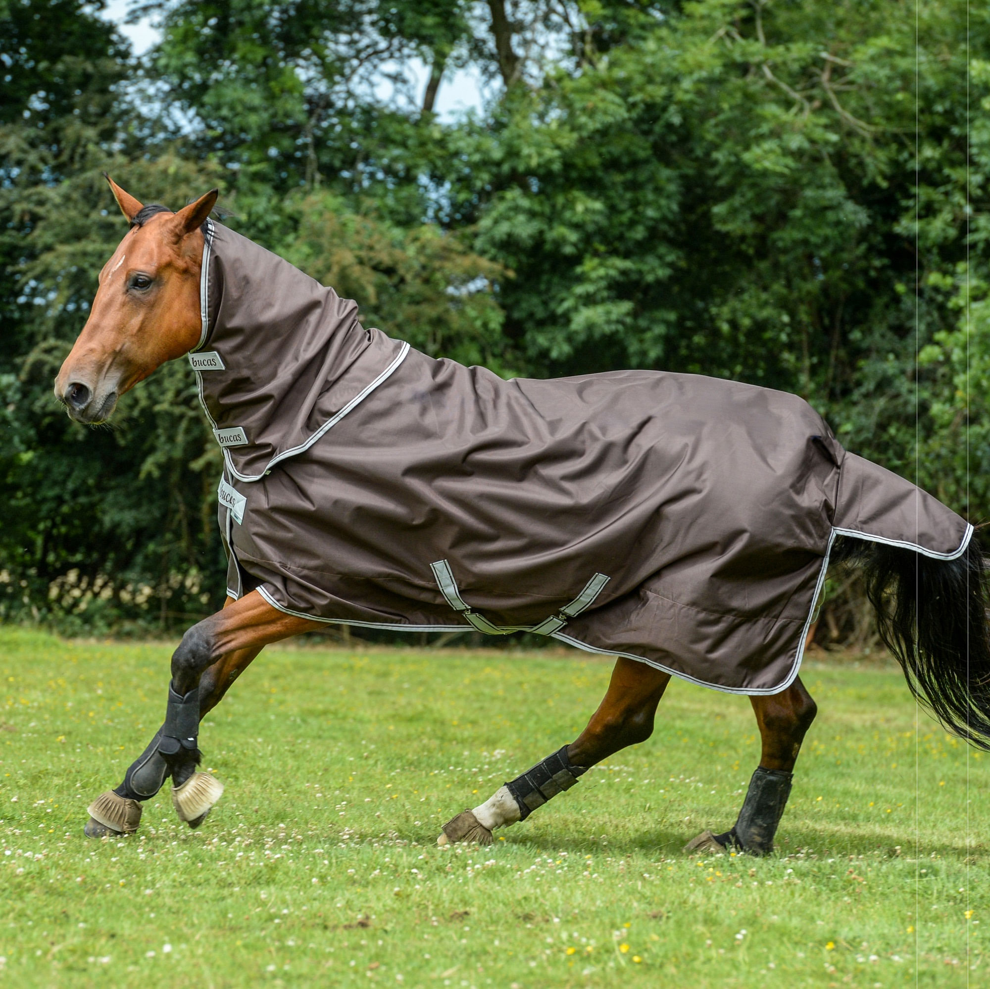 Bucas Smartex Extra Turnout 300G - Chocolate - Bucas-92-1010-CC