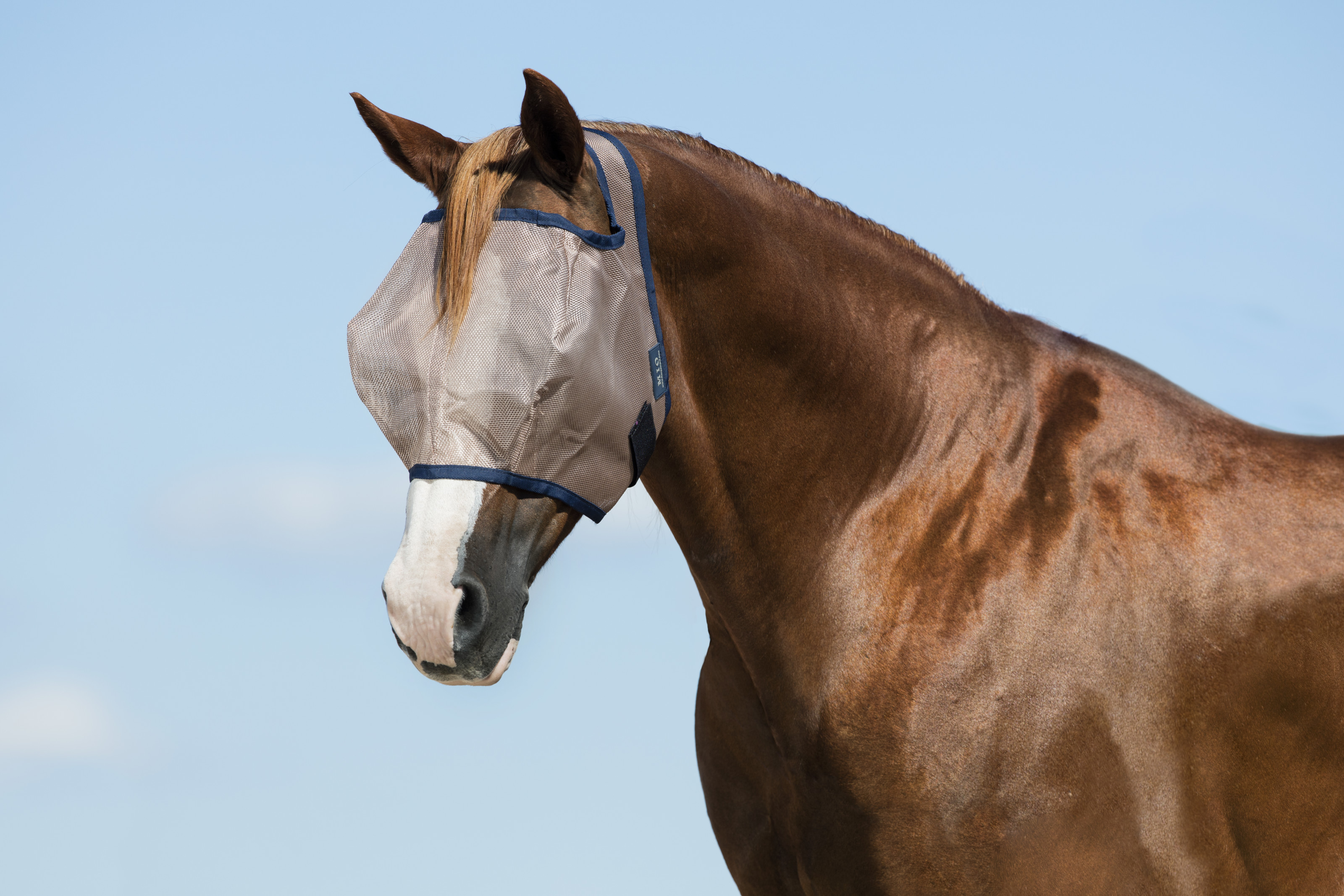 Mio Fly Mask Without Ears - Bronze/Navy - Mio-DMSF11-MBBB - Tack Of The Day