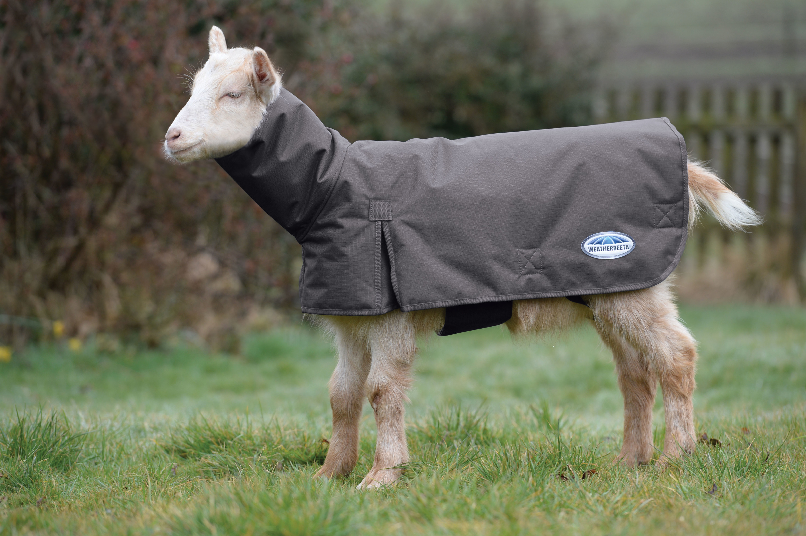 Weatherbeeta Goat Coat Wneck Grey Weatherbeeta Bnx101813 Grey Tack Of The Day