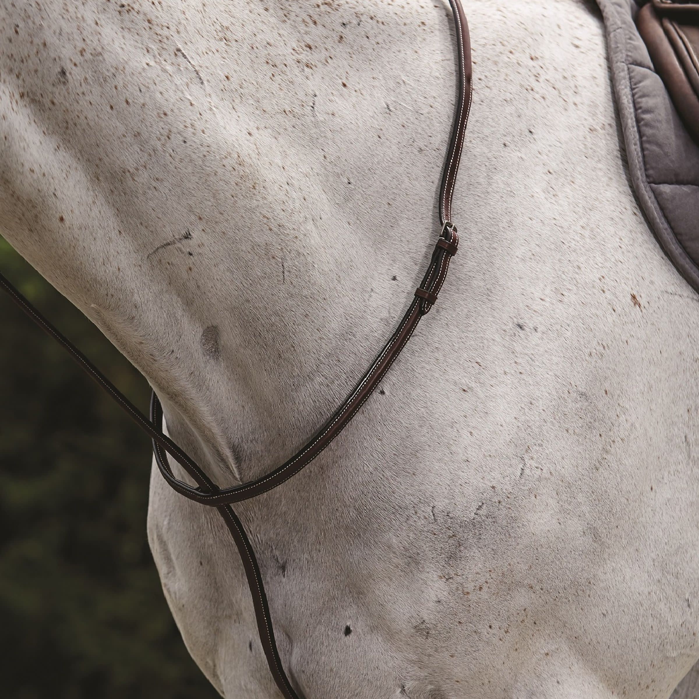 Collegiate Raised Standing Martingale II - Brown - Collegiate-BNX100623 ...