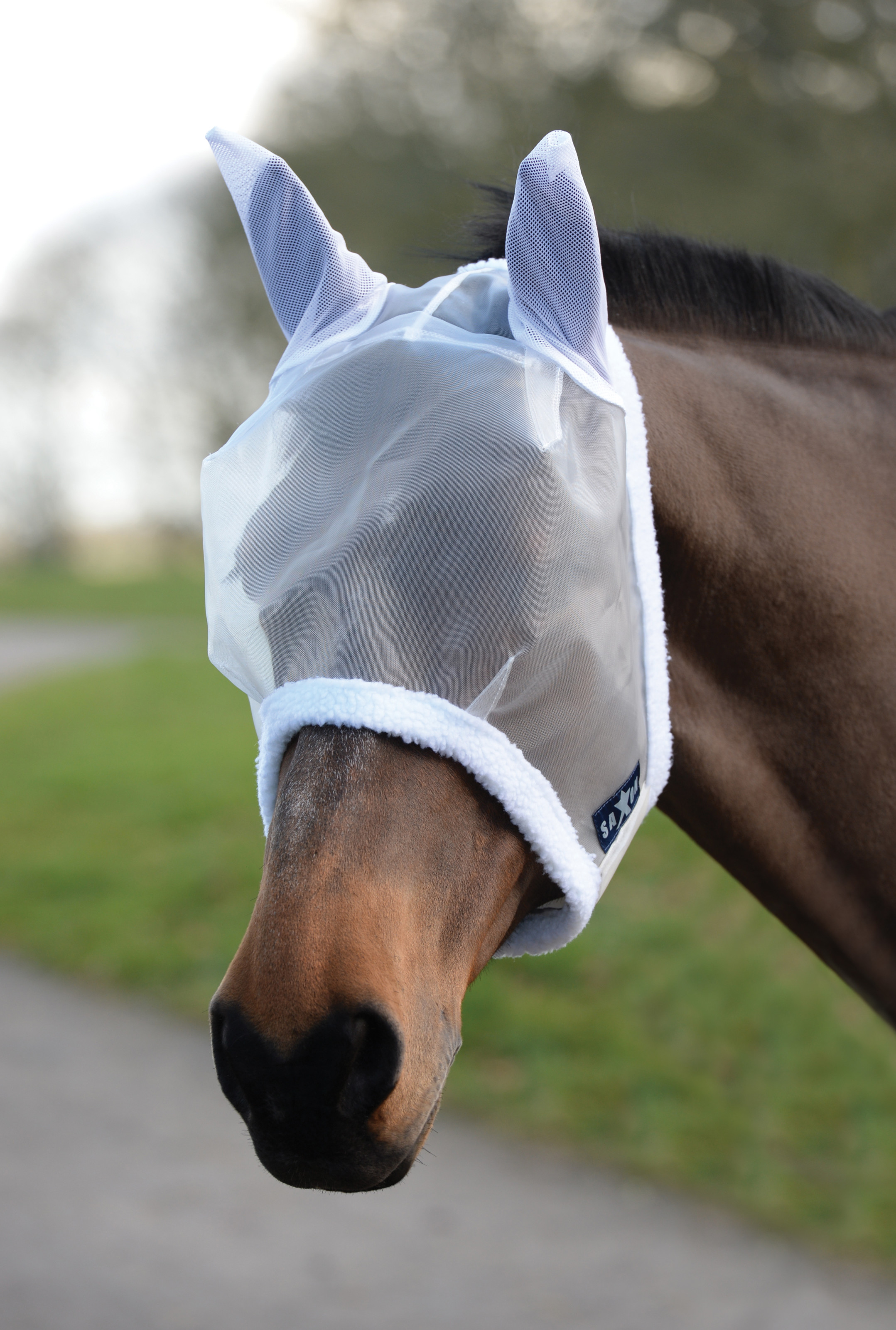 Saxon Fly Mask - White - Saxon-BNX100779-White - Tack Of The Day