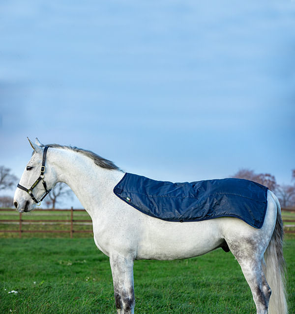 Rambo Summer Series - Navy/Grey - Rambo-AAATKS-BJ00 - Tack Of The Day