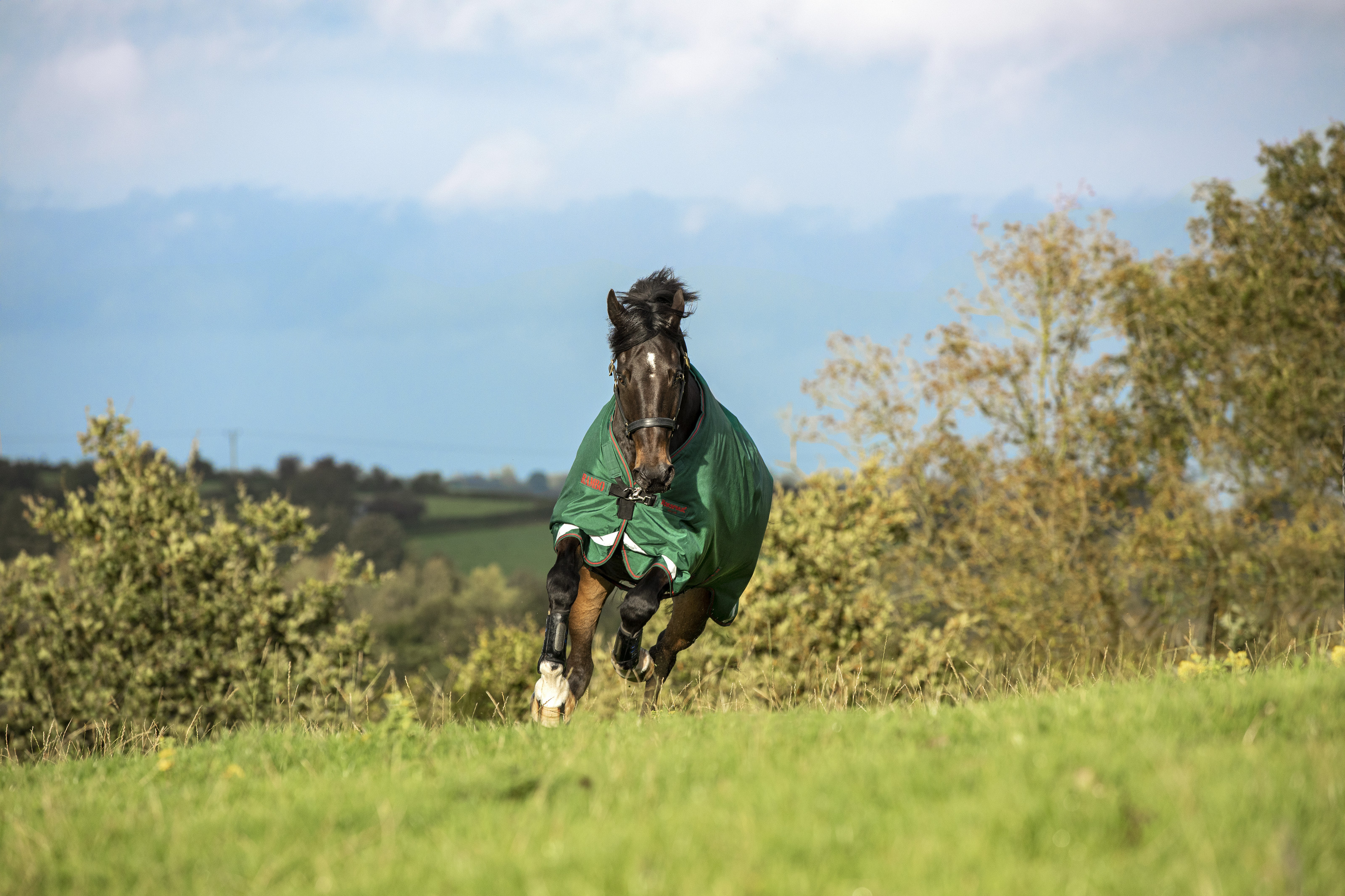 Rambo Original Turnout w/Leg Arches 100g - Green/Red - Rambo-AAAA06 ...