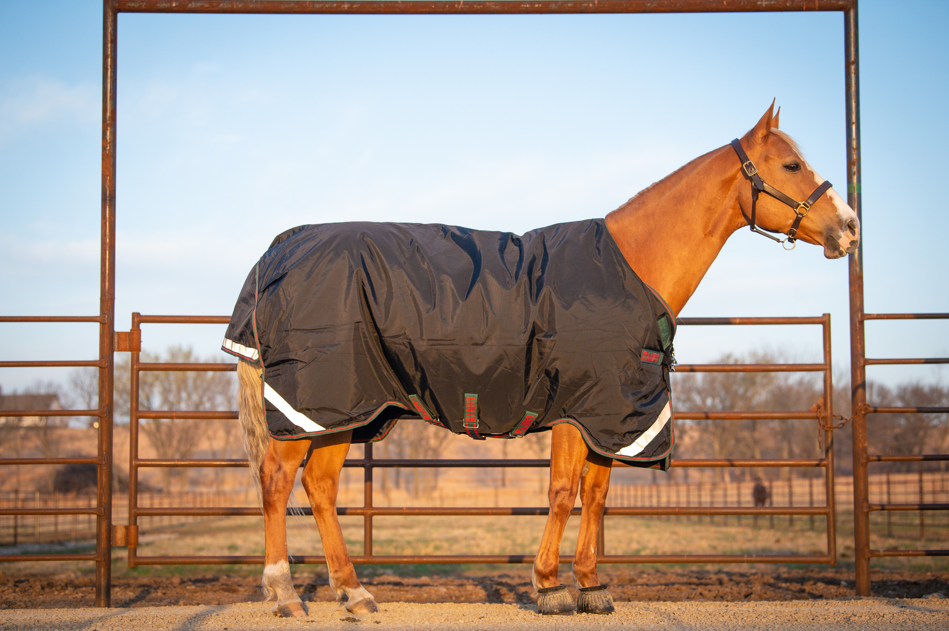 Rambo Original Turnout w/Leg Arches 200g - Black/Green/Red - Rambo ...