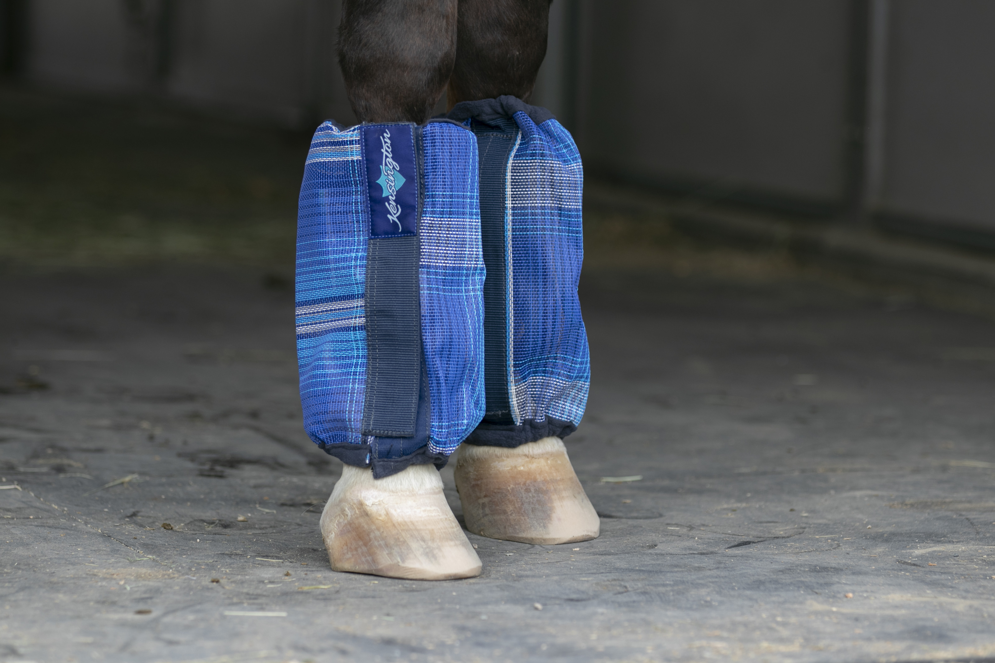 Kensington Bubble Fly Boots (Set of 4) - Kentucky Blue - Kensington ...