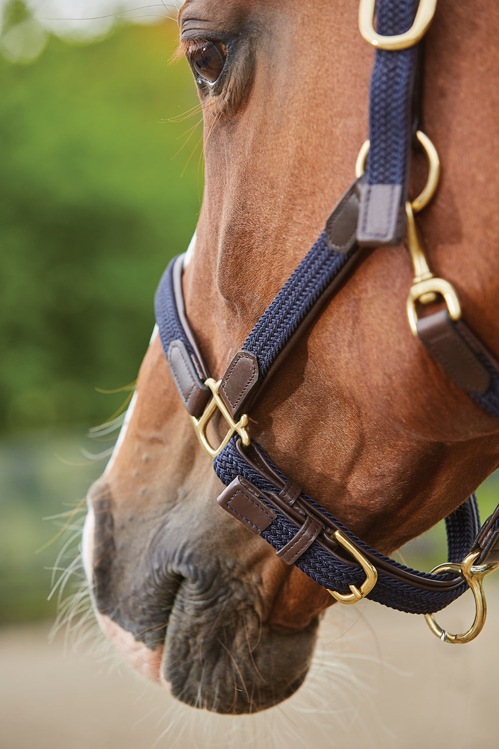 Kincade Braided Leather Breakaway Headcollar - Navy - Kincade-BNX101979 ...