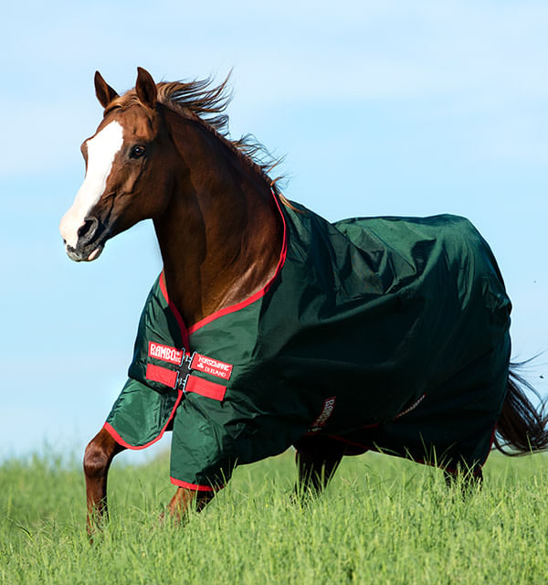 Rambo Original Turnout 0g - Green/Red - Rambo-AAAAA1-GR00 - Tack Of The Day