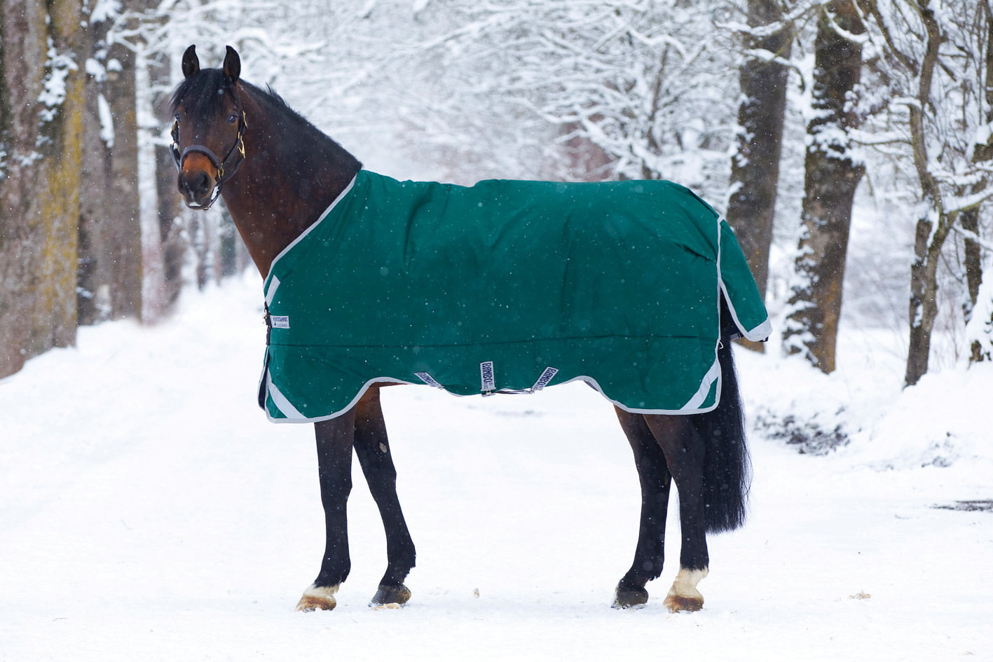 Rambo Original Turnout w/Leg Arches 400g - Green/Silver - Rambo-AAAA08 ...