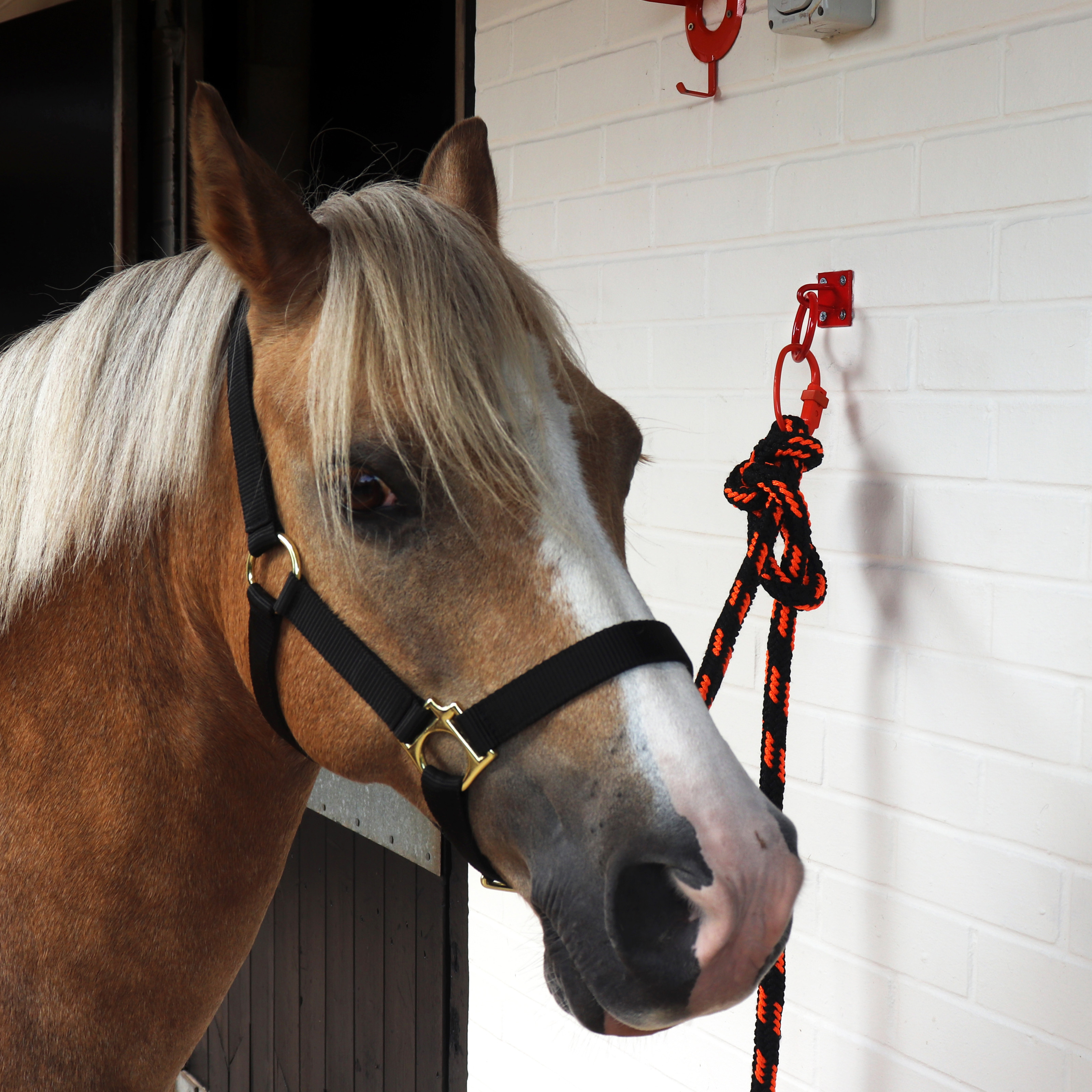 Perry Safe-Tie w/Wall Mount Plate - Green - Safe Tie-470981-GRN - Tack ...