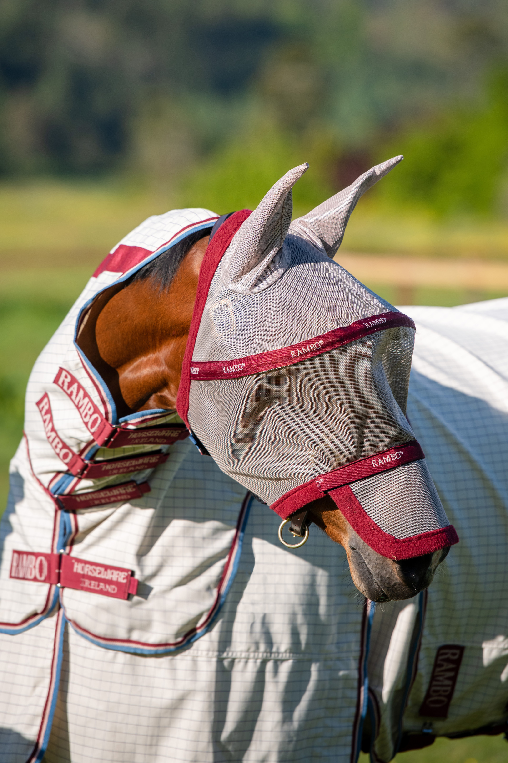 Rambo Fly Mask Plus - Oatmeal/Cherry/Peach/Blue - Rambo-DMAF15-MRZC ...