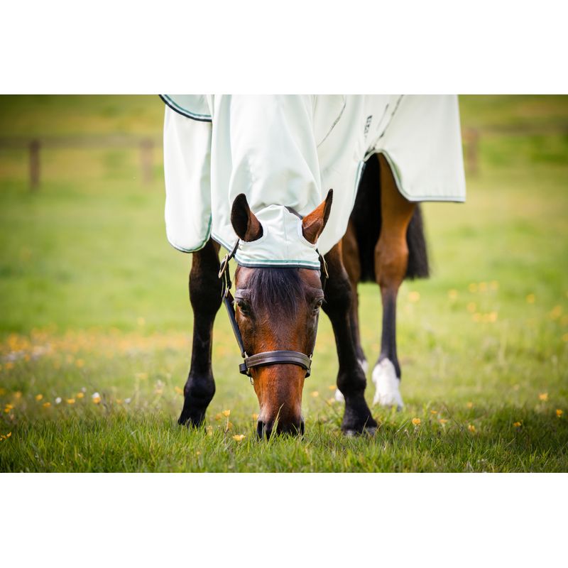 Rambo Hoody - Green/Sage/Beige/Green - Rambo-AFAP70-GFMG