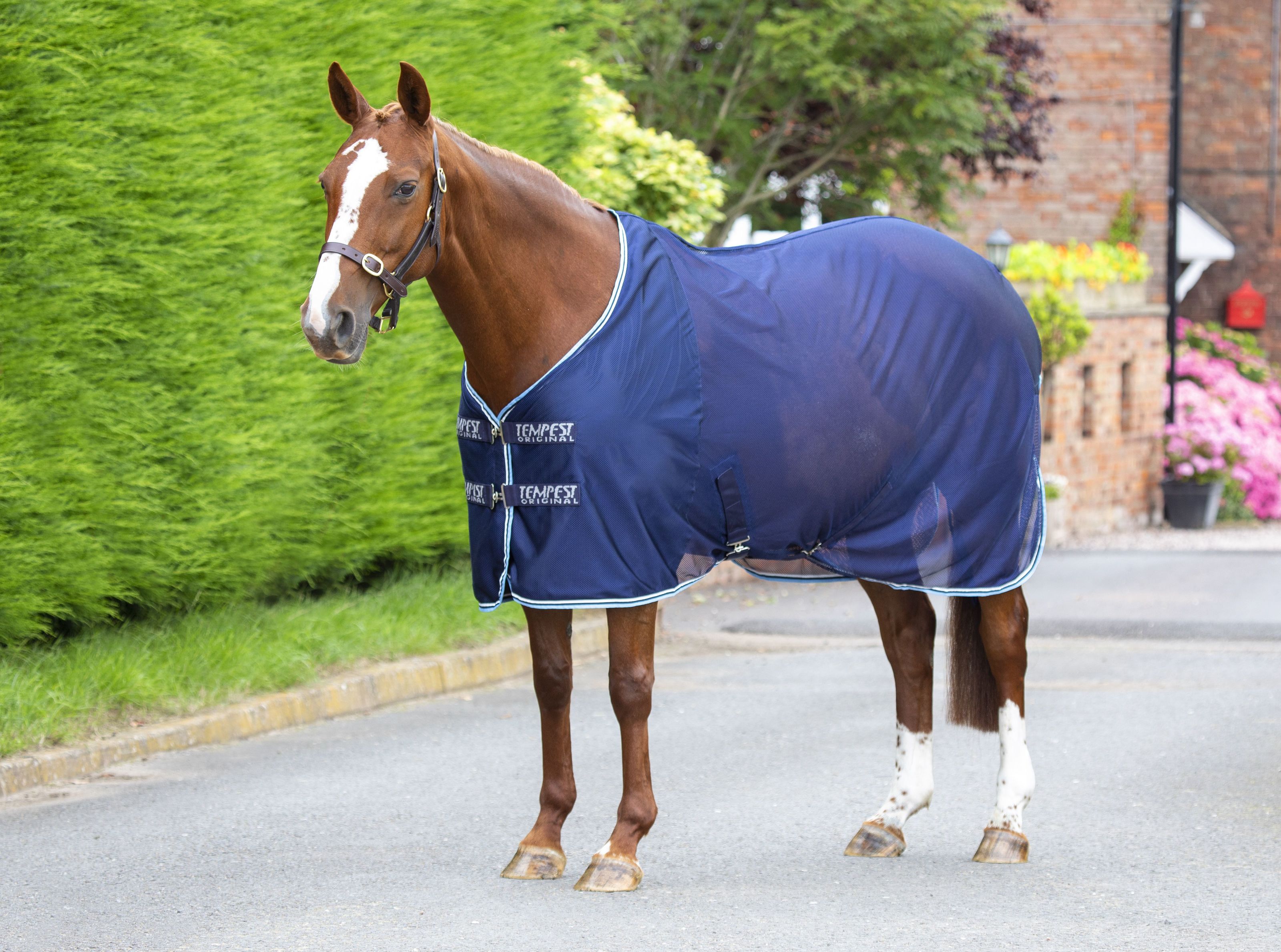 Shires Tempest Original Mesh Cooler - Navy - Tempest-9452-NAVY - Tack ...