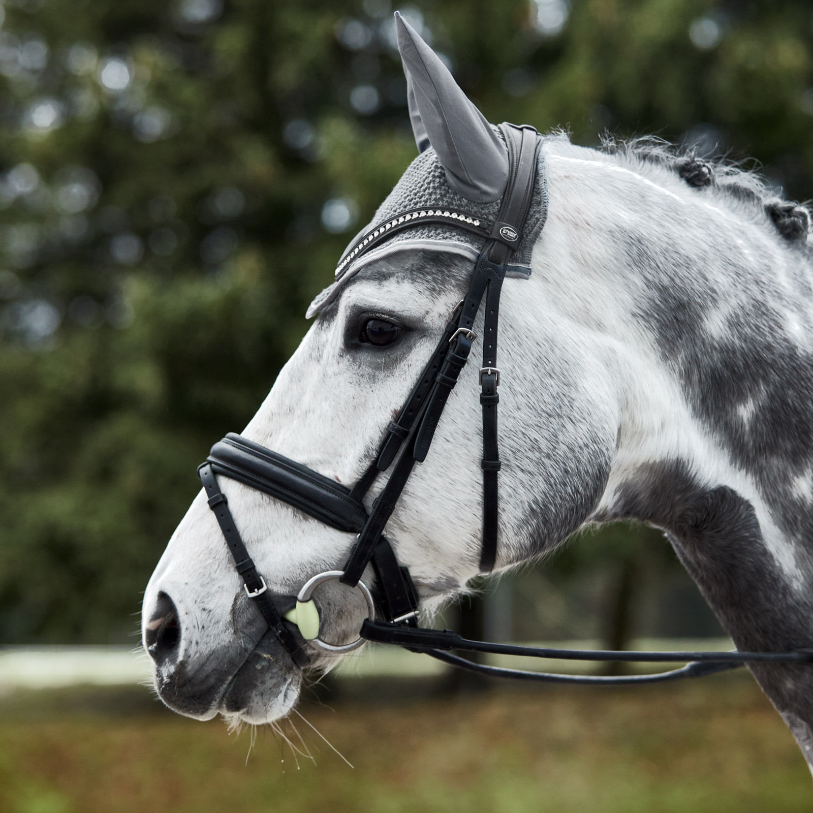 Horze Adepto Ear Net - Steel Grey - Horze-22923-SG - Tack Of The Day