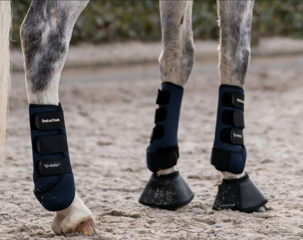 Back on Track Opal Front Exercise Boot - Blue - Back on Track-BNX102165 ...