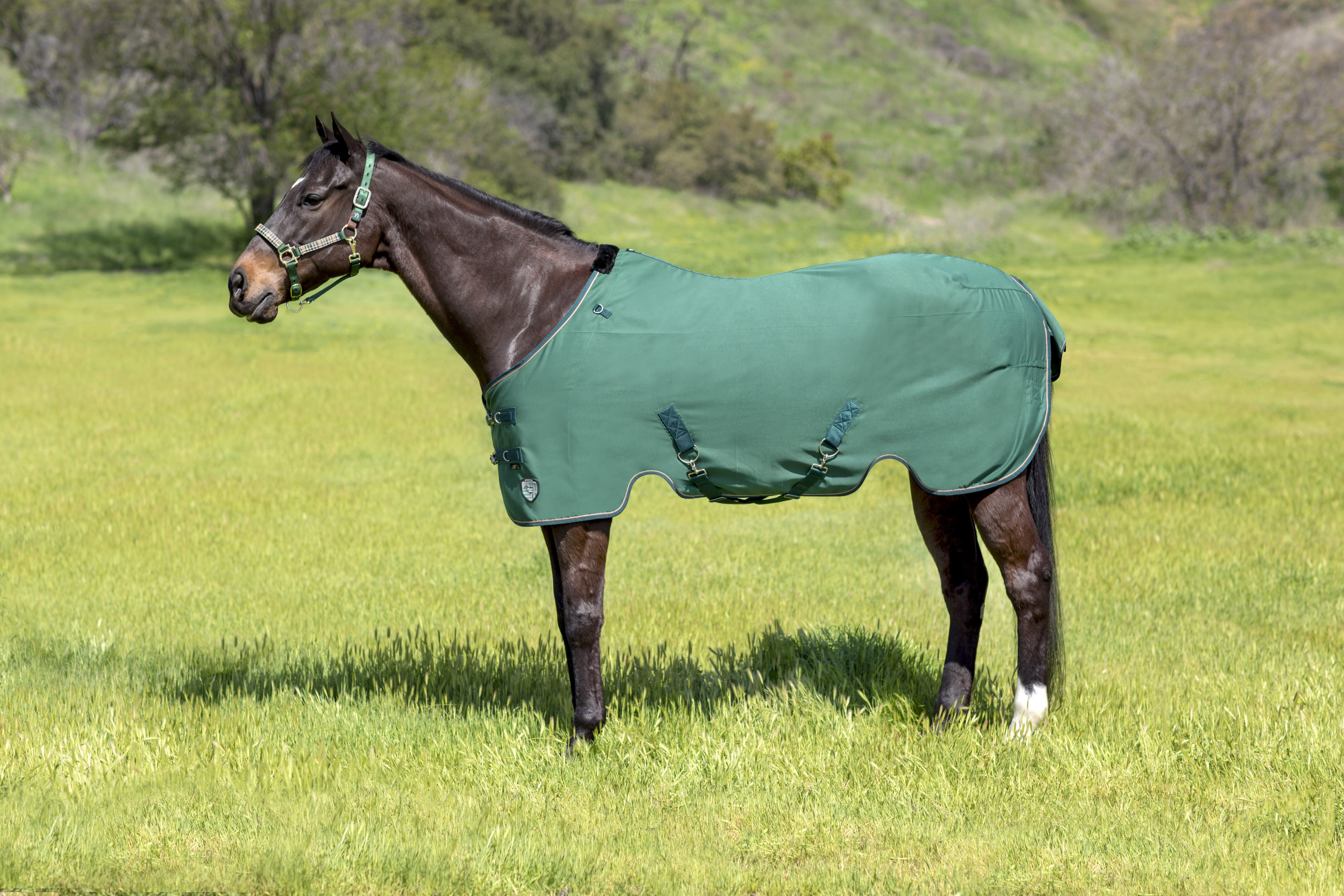 Kensington SureFit Poly Cotton Stable Sheet - Hunter - Kensington-721C ...