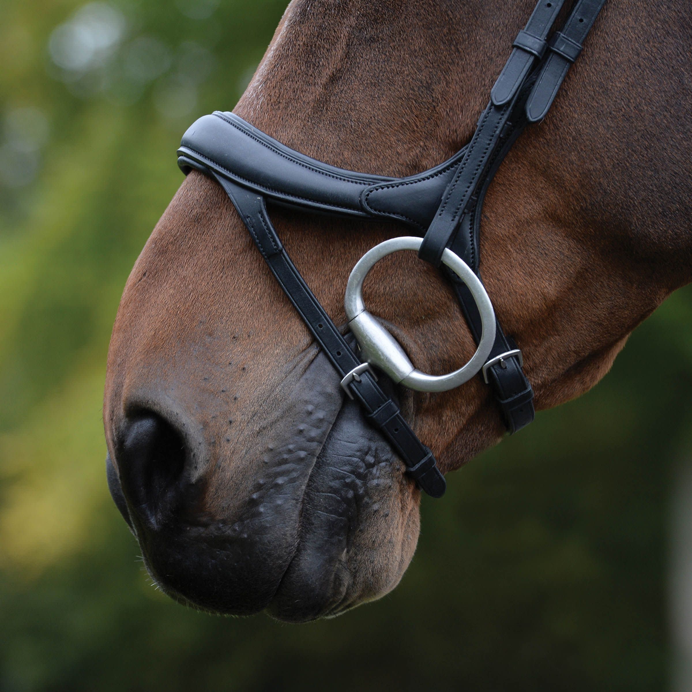 Collegiate Comfitec Vogue Anatomical Bridle - Brown - Collegiate-102235 ...