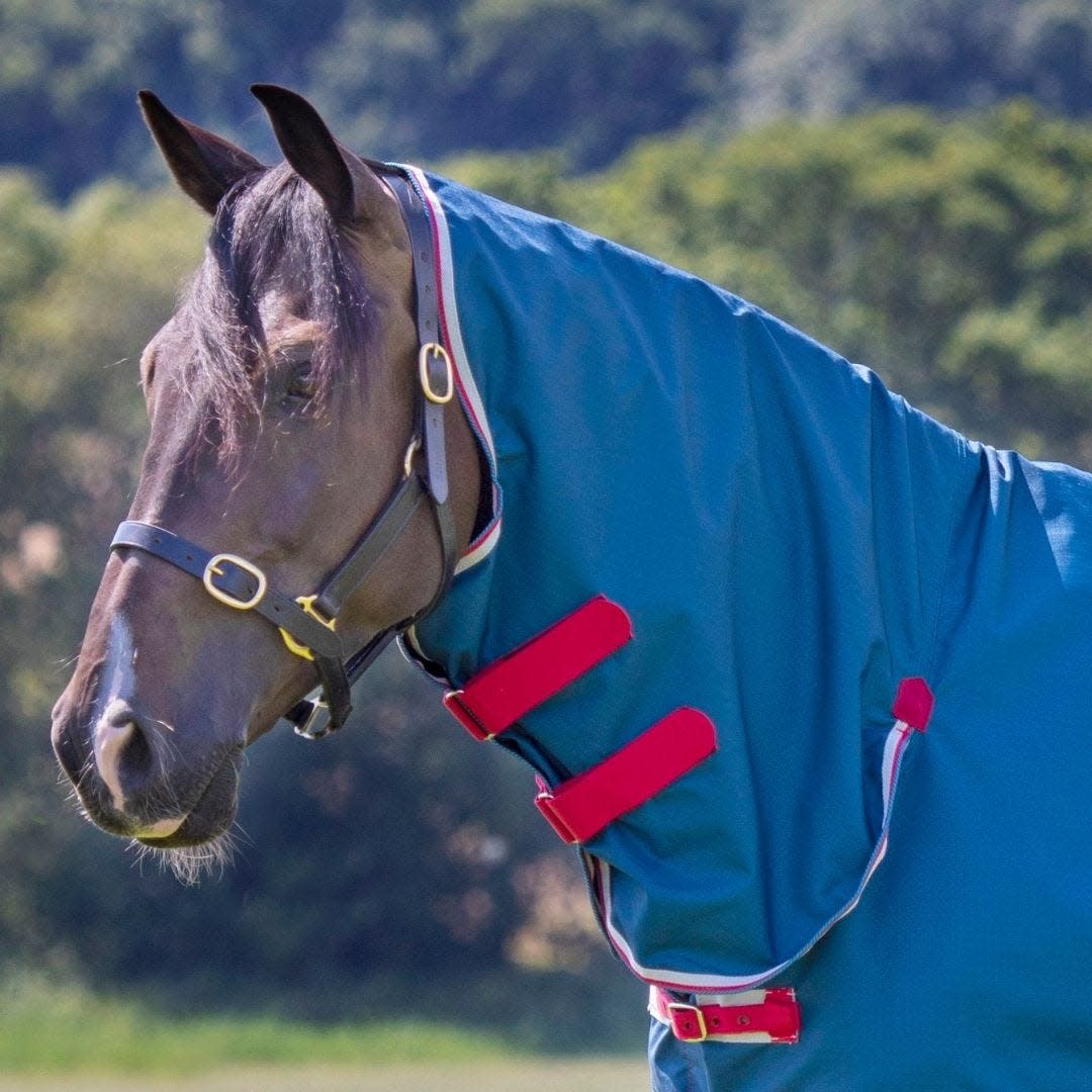 Shires Tempest Original Lite Neck Cover - Teal - Tempest-9330N-TEAL ...