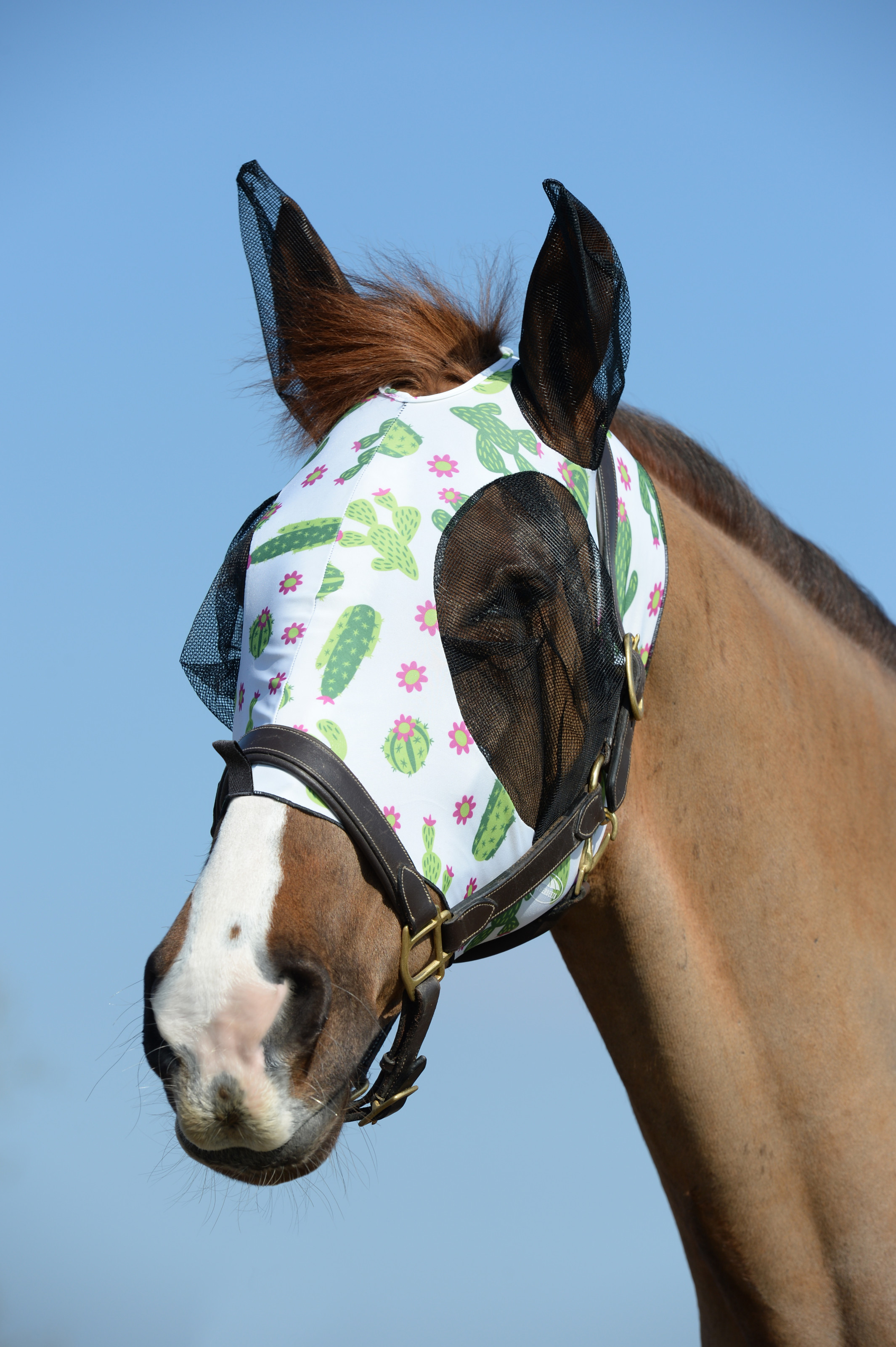 Weatherbeeta Deluxe Stretch Bug Eye Saver w/Ears - Cactus Print ...