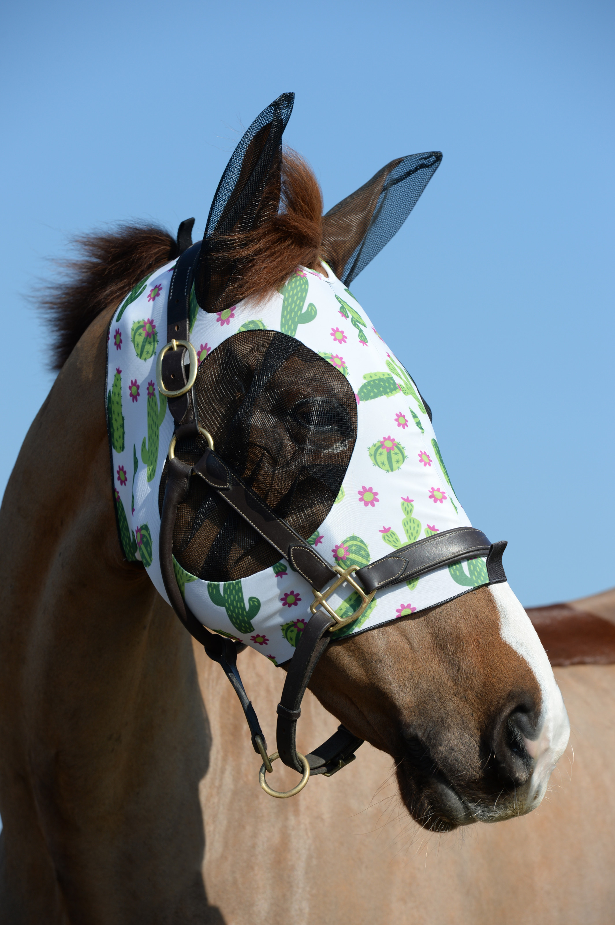 Weatherbeeta Deluxe Stretch Bug Eye Saver w/Ears - Cactus Print ...