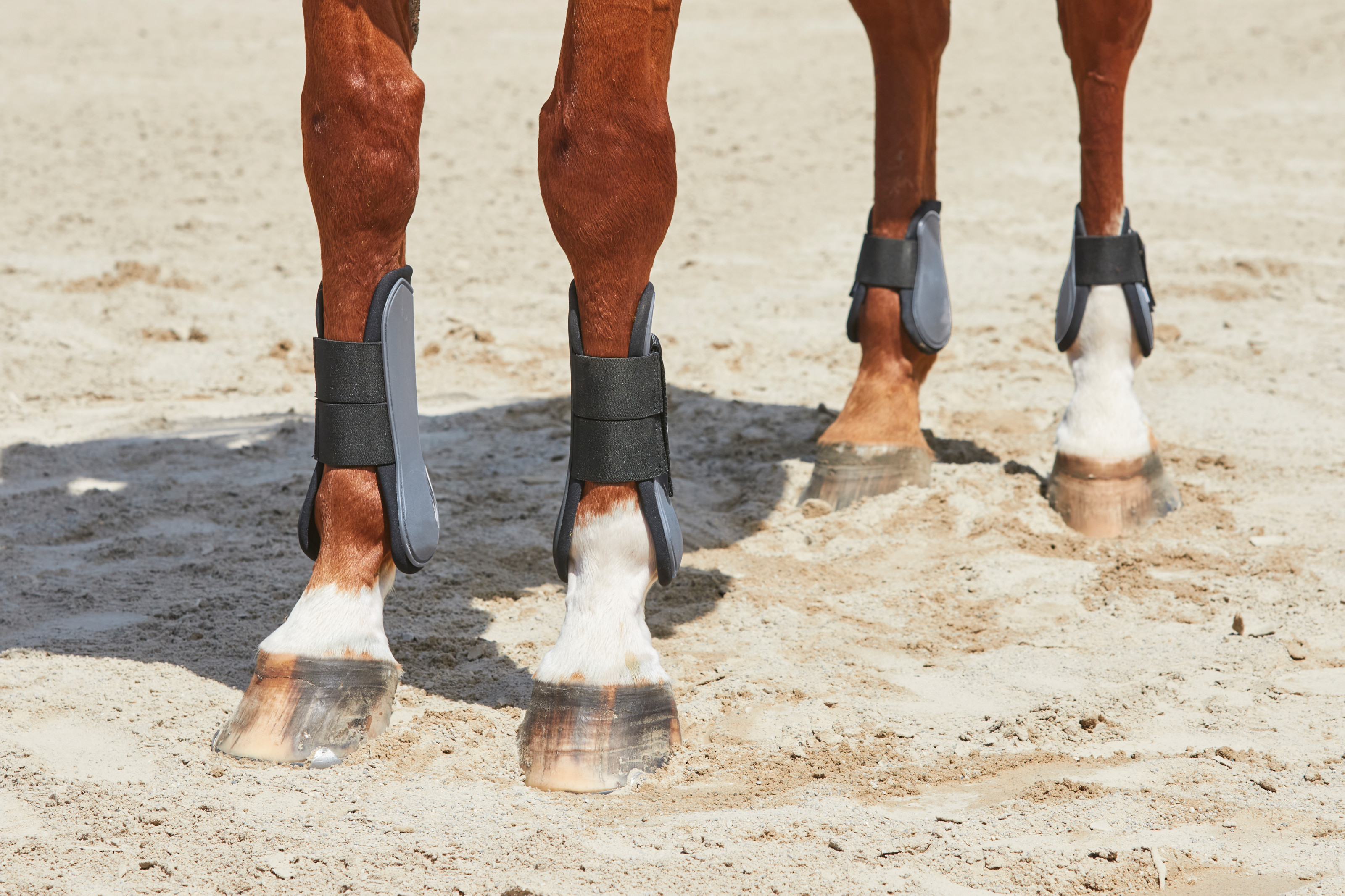 Roma Competitor Series 4 Pack - Gray - Roma-BNX100790-Gray - Tack Of ...