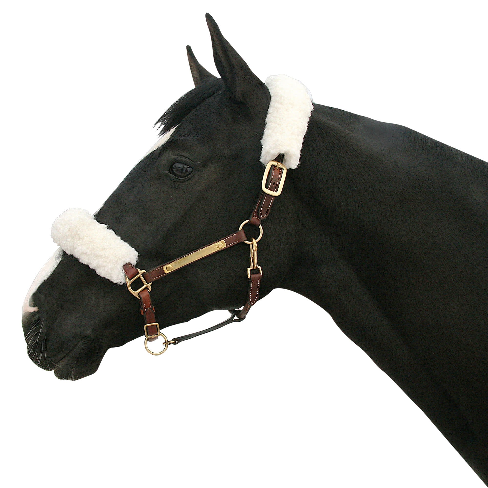 Back on Track Fleece Halter Cover - White - Back on Track-BNX102394 ...