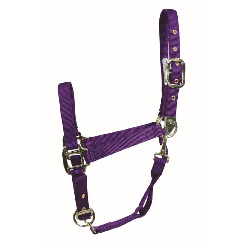 READY TO SHIP: Signature Classic Halter w/Snap - Large Horse - Purple ...