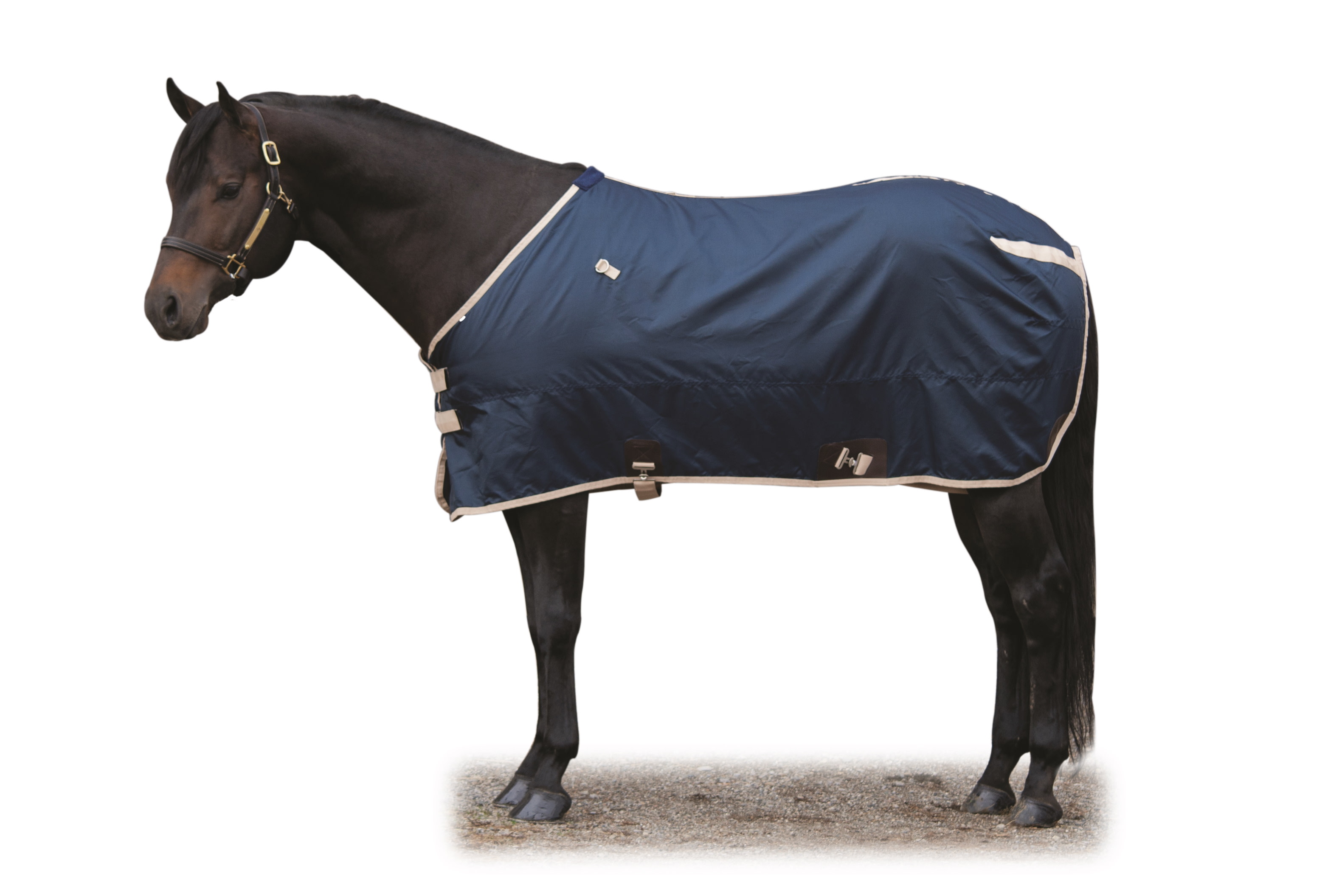 READY TO SHIP: Country Legend 420 Denier Nylon Stable Sheet - 80 - Navy ...