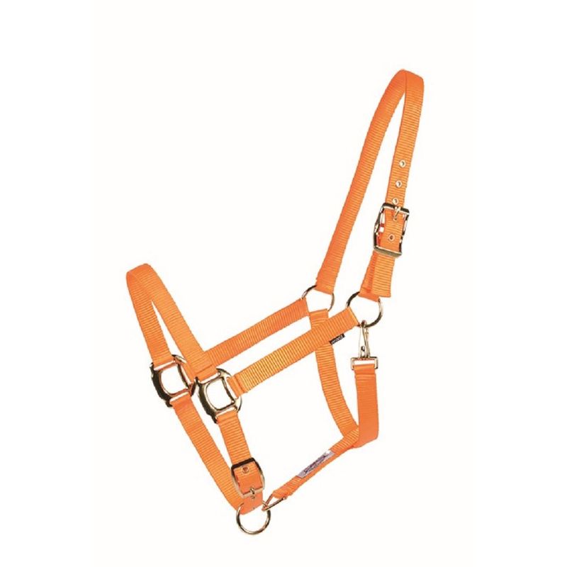 READY TO SHIP: Country Legend Soft-Touch Halter - Horse - Orange - Tack ...