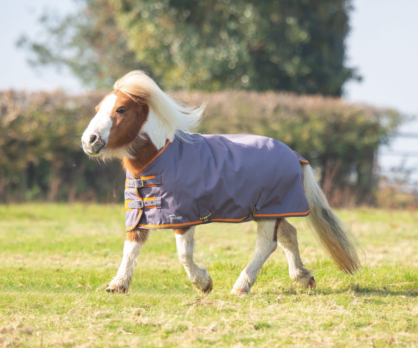 Shires Highlander Mini Turnout - Navy Forest - Highlander-98M-NAVYFORE ...
