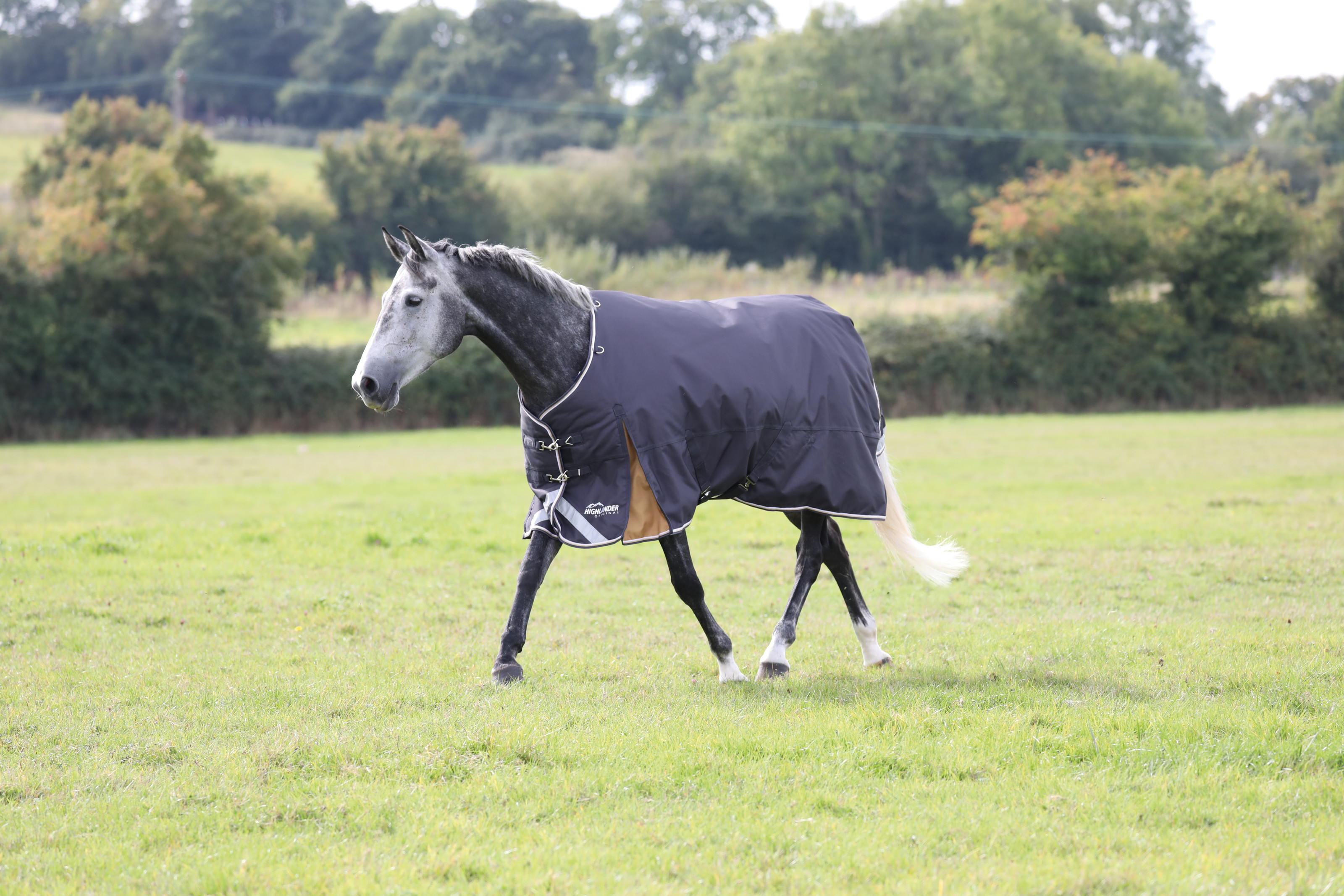 Shires Highlander Plus 300G Standard Neck Turnout - Grey - Highlander ...