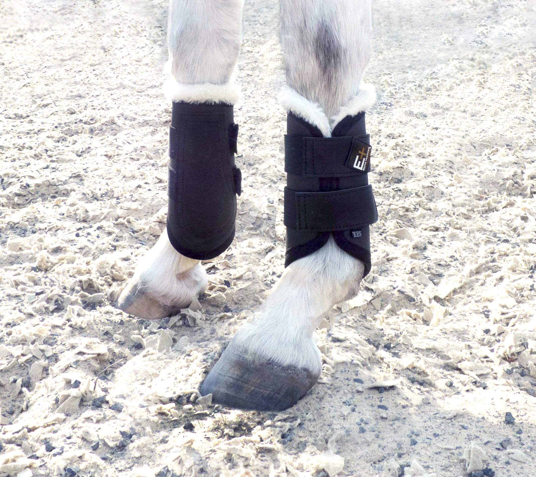 Equine Healthcare International Pro Series Fleece Boots - Black ...