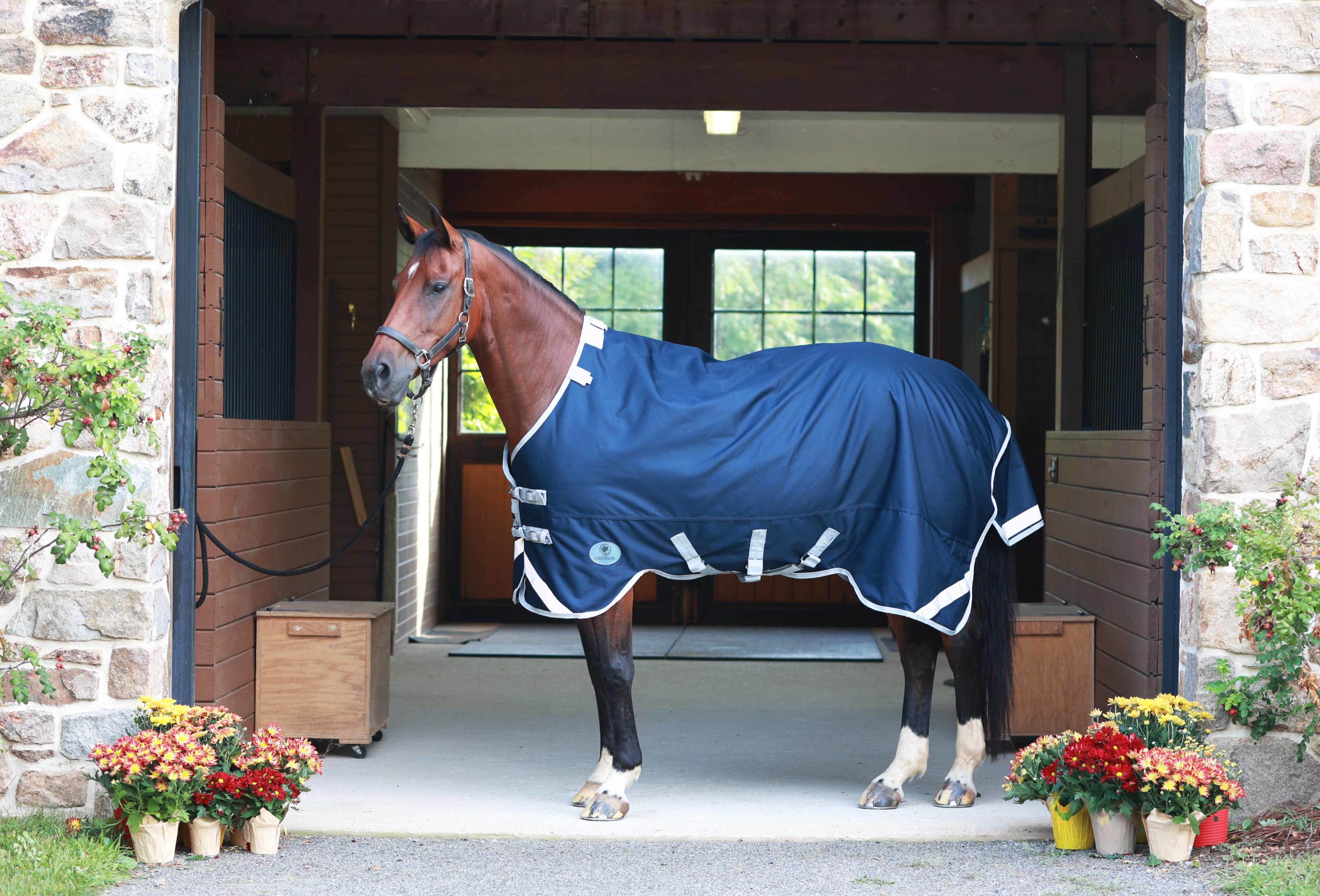 Centaur TZERO Turnout Sheet - Navy - Centaur-400042-NAVY - Tack Of The Day
