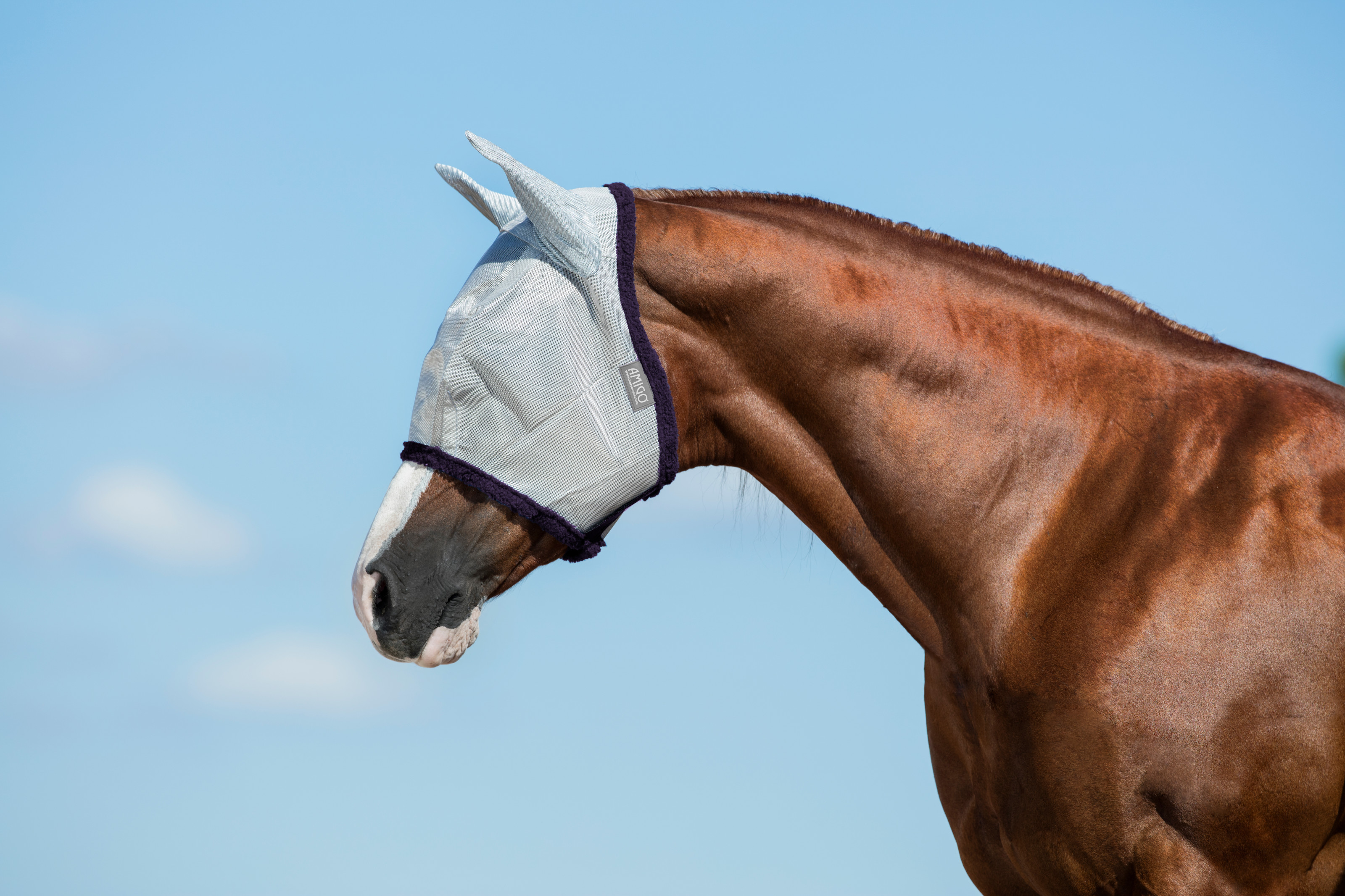 READY TO SHIP: Fly Mask - Small Pony - Silver/Plum - Tack Of The Day
