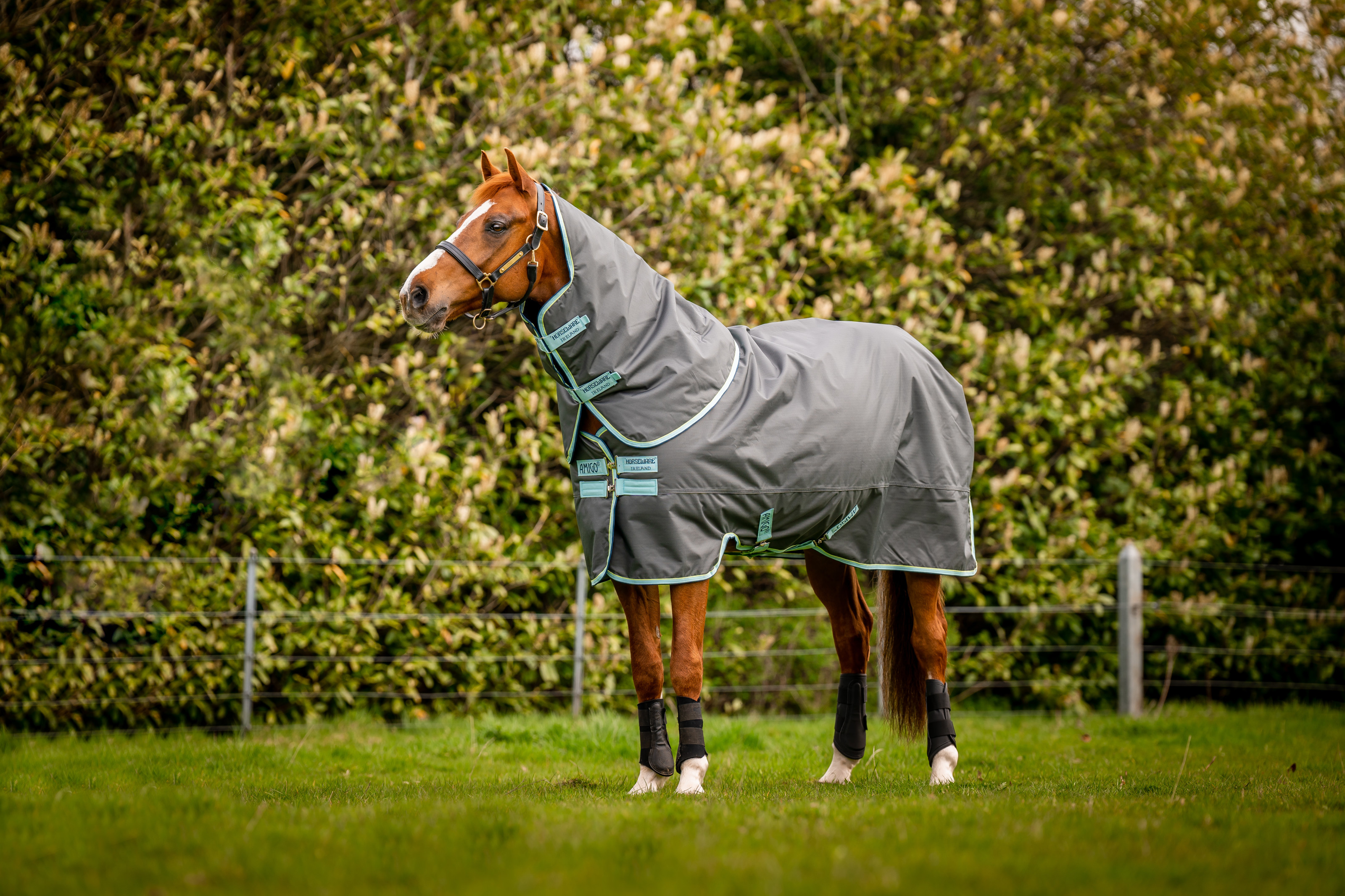 Amigo Hero Ripstop Plus Turnout 200g - Shadow/Blue Haze/Navy - Amigo-AAPP93-JDB0 - Tack Of The Day