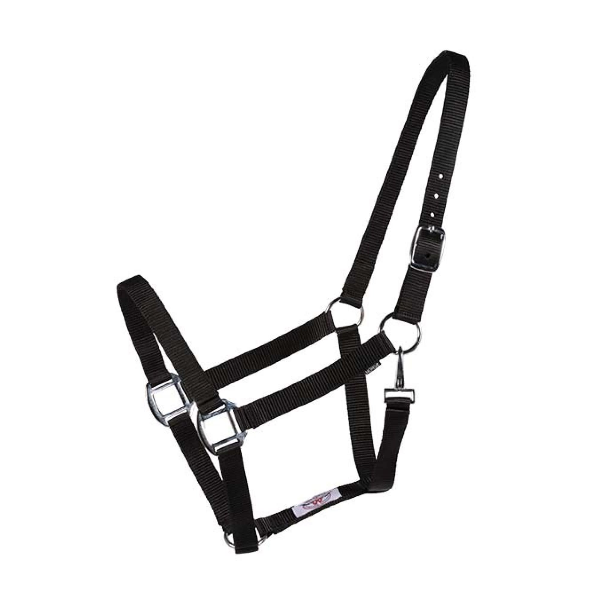 Western Rawhide Country Legend Economy Halter - Black - Western Rawhide ...
