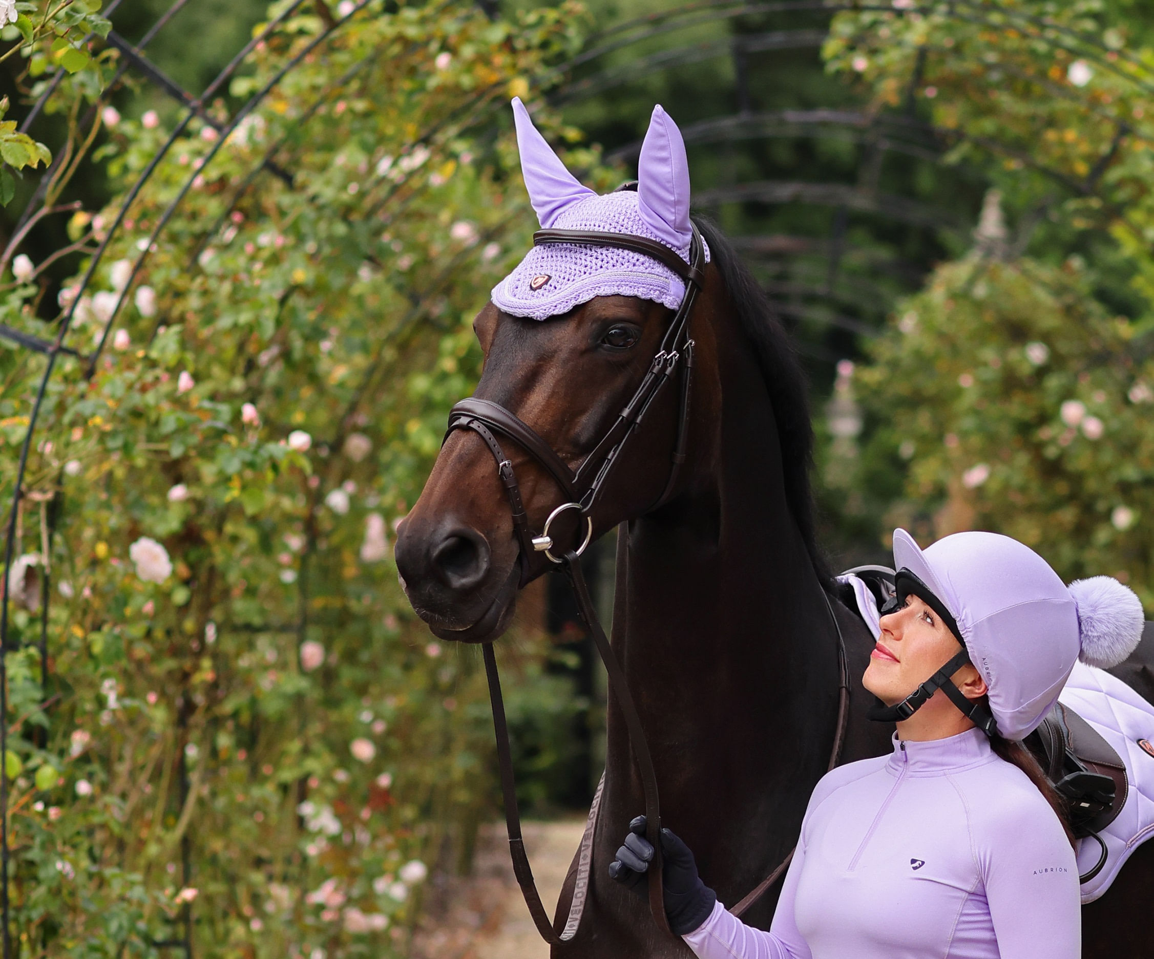 Shires ARMA Ear Bonnet - Lavender - ARMA-10148-LAVENDER - Tack Of The Day