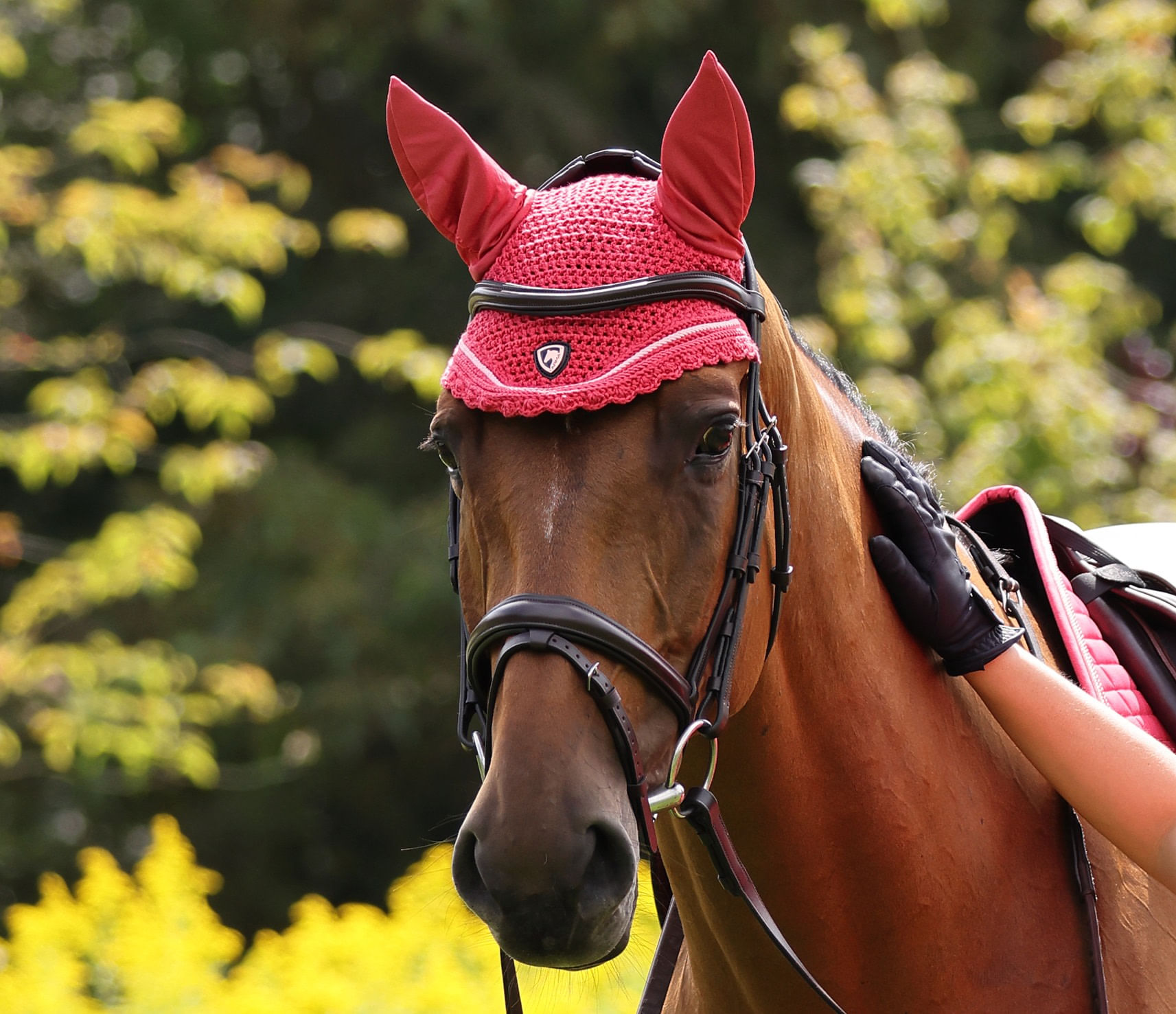 Shires ARMA Ear Bonnet - Coral - ARMA-10148-CORAL - Tack Of The Day