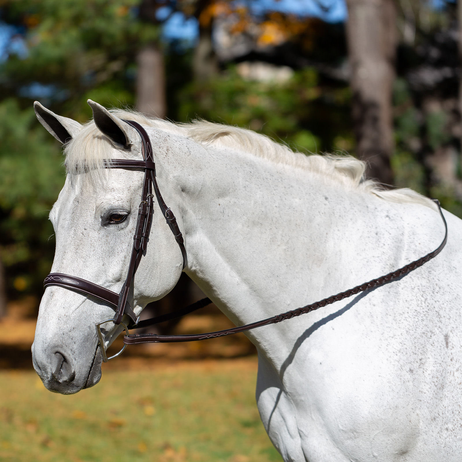 Equinavia Valkyrie Wide Noseband Hunter Bridle w/Reins - Chocolate Brown - Equinavia-E11003-CBR ...
