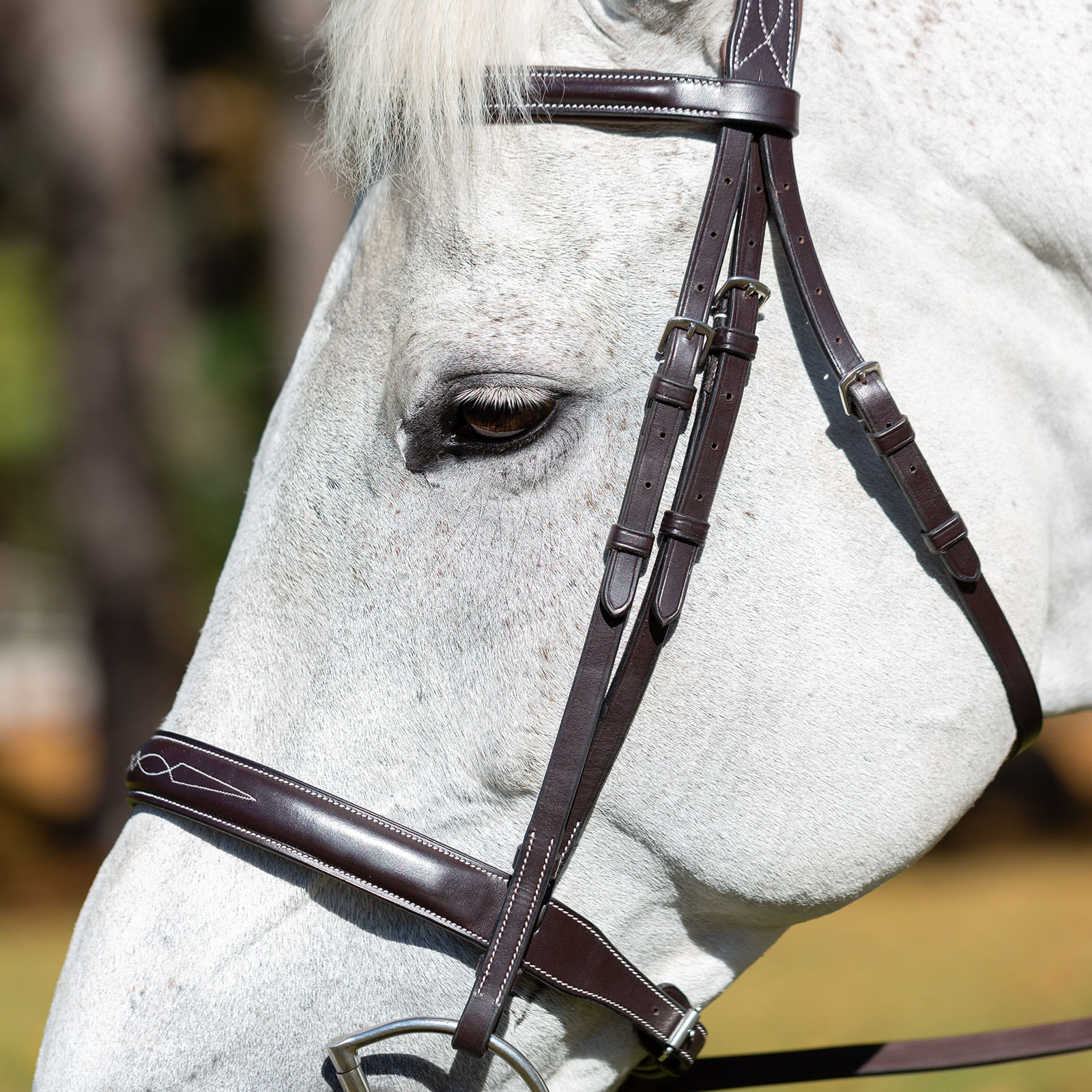 Equinavia Valkyrie Wide Noseband Hunter Bridle w/Reins - Chocolate Brown - Equinavia-E11003-CBR ...