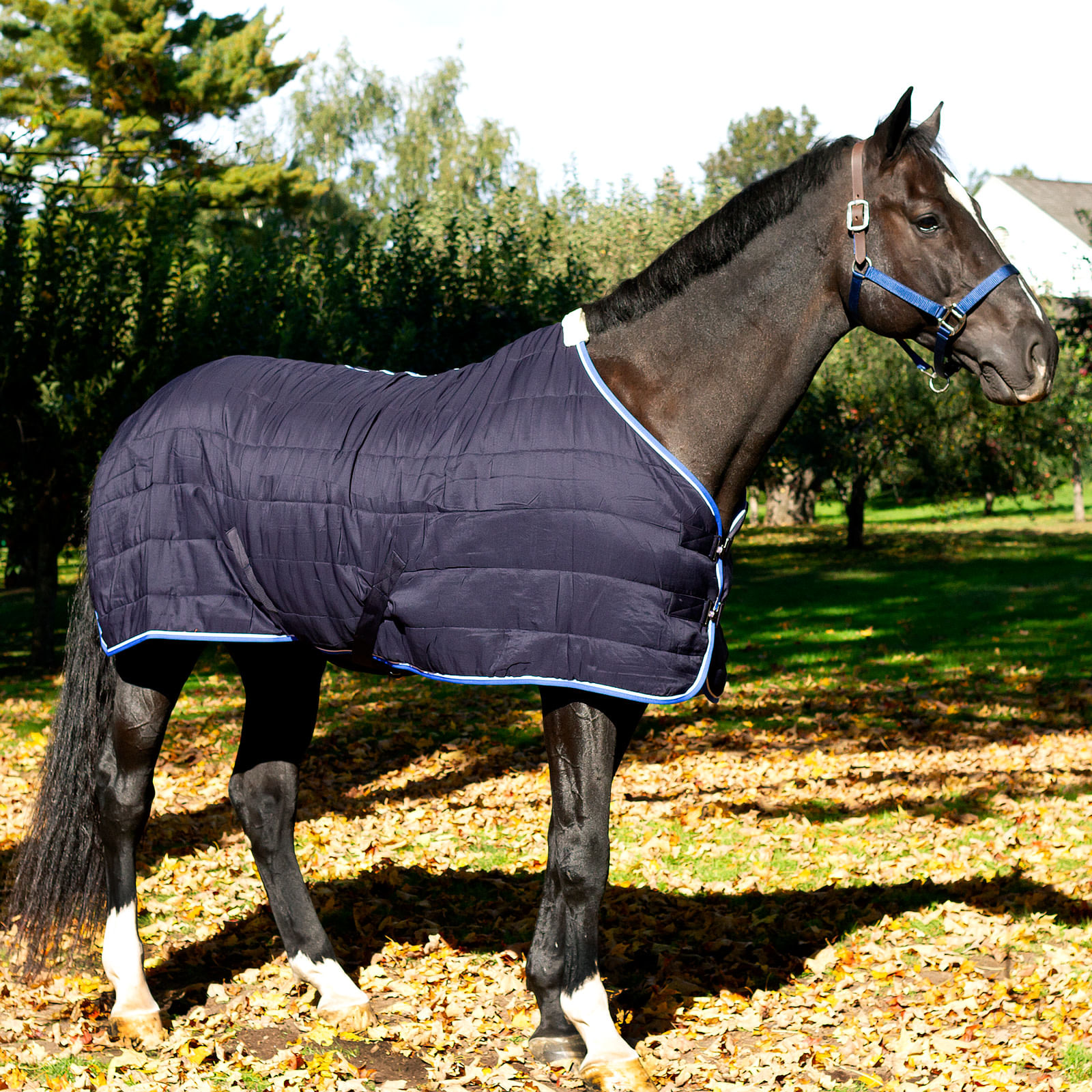 Horze Glasgow Stable Blanket 100g - Dark Blue - Horze-24306-DB - Tack ...