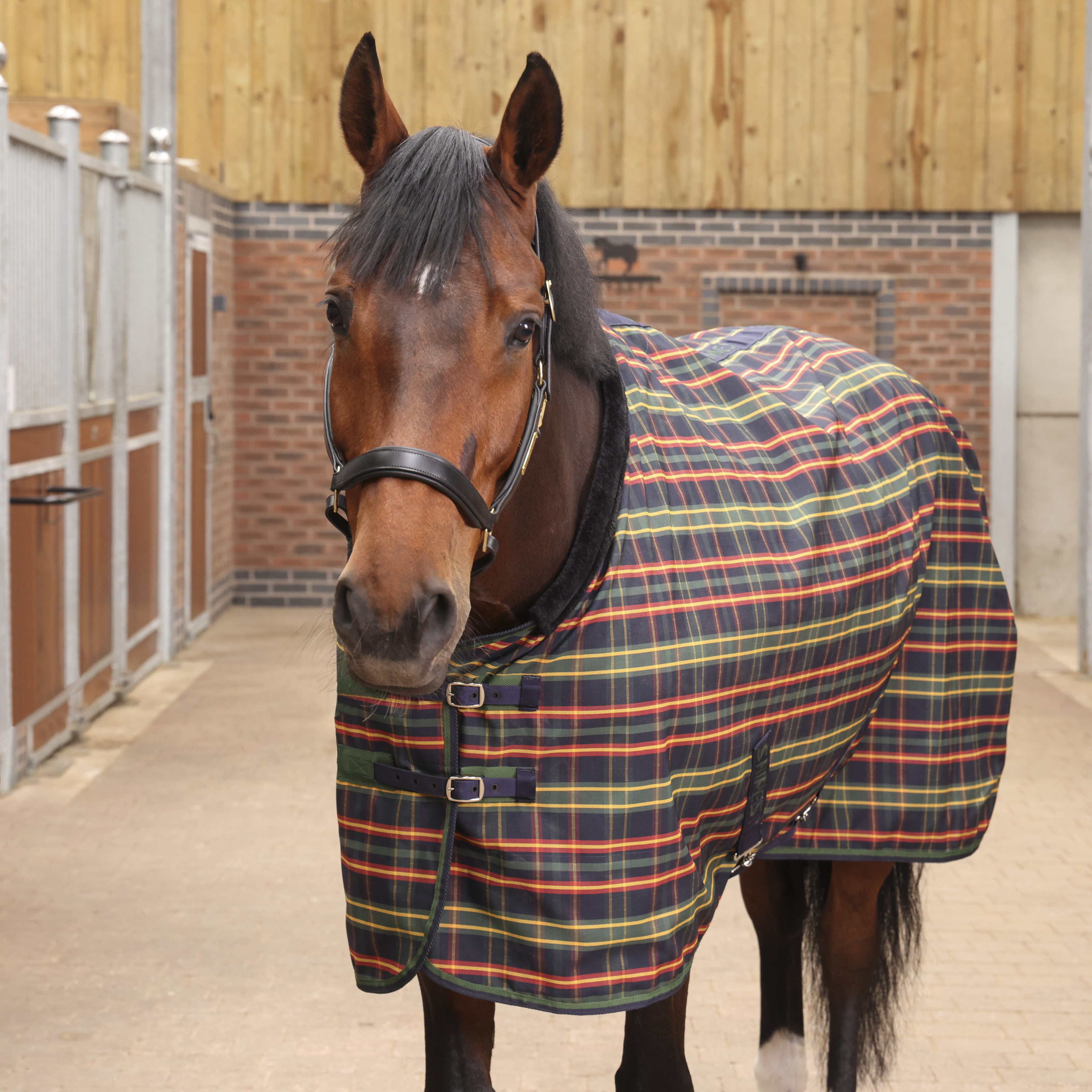 Shires Tempest Plus Lite Stable Rug - Green Tartan - Tempest-9377 ...