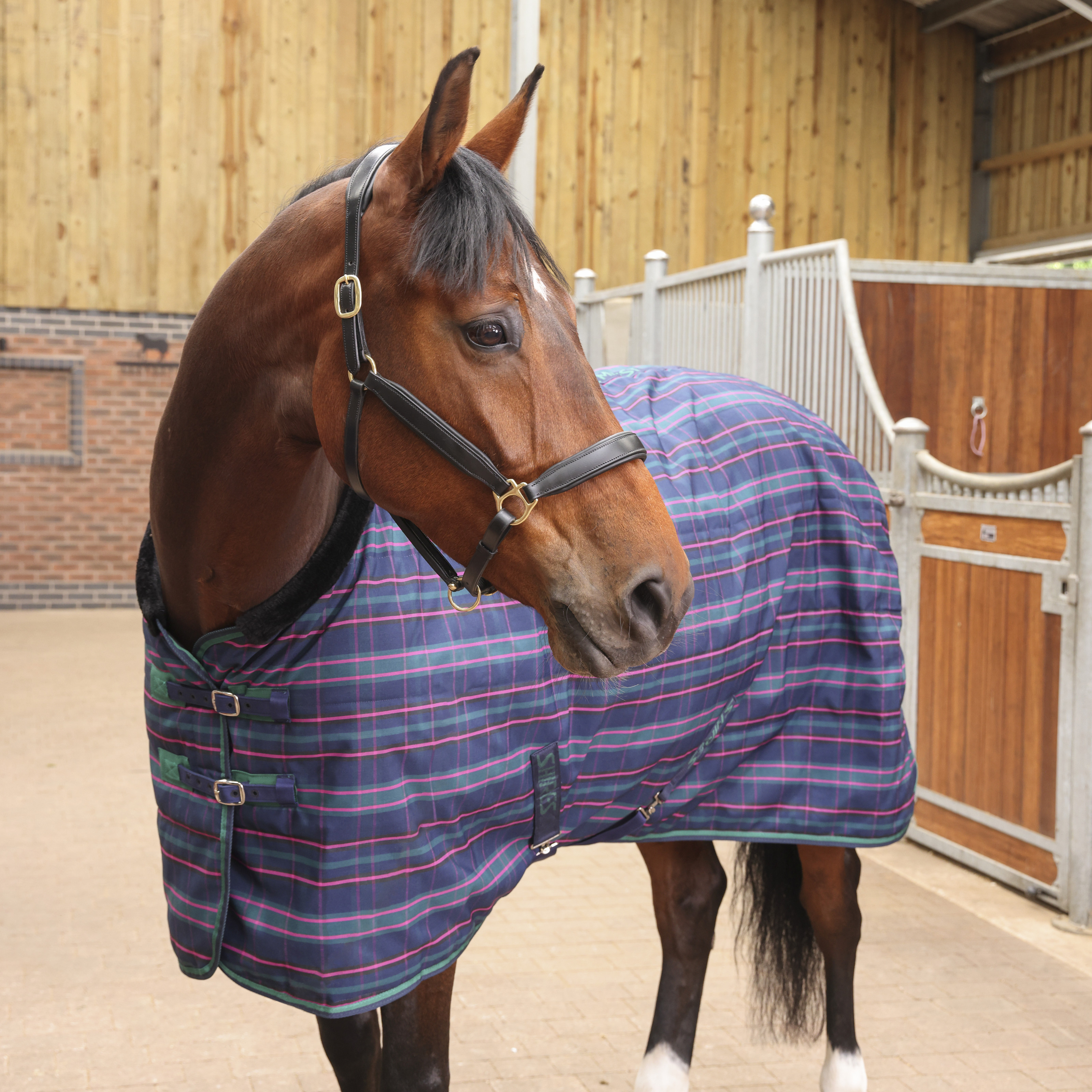 Shires Tempest Plus 100 Stable Rug - Navy Tartan - Tempest-9369 ...