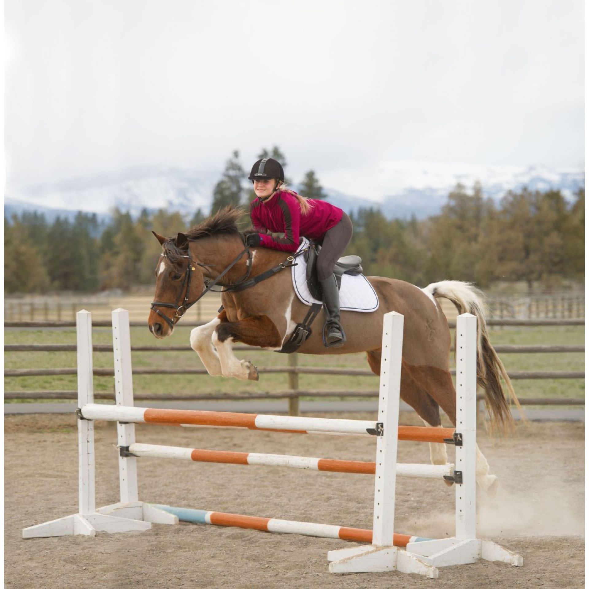 READY TO SHIP: Women's Synergy Jacket - Medium - Ruby - Tack Of The Day