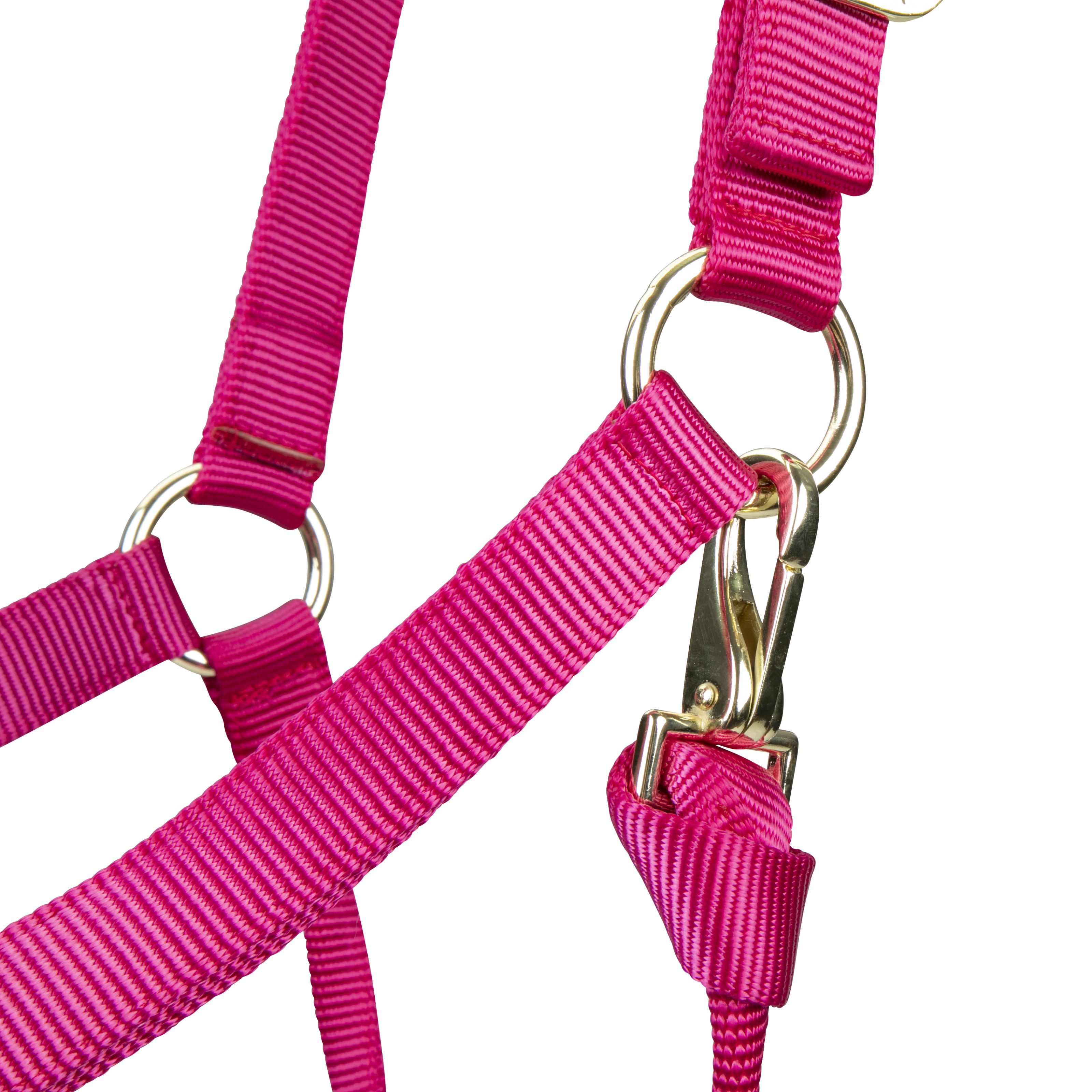 Shires ARMA Adjustable Nylon Halter - Raspberry - ARMA-10574-RASP ...